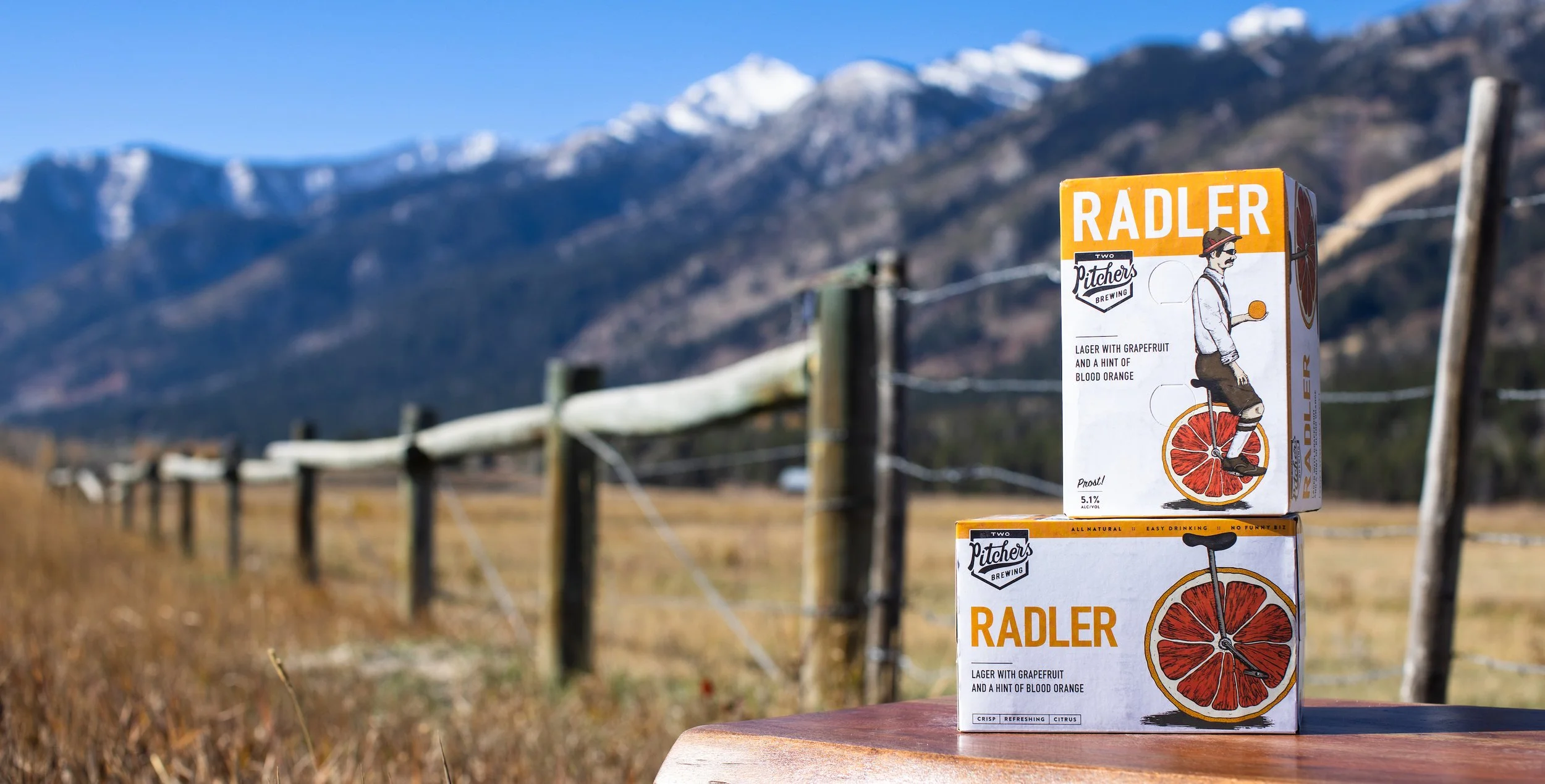 Two Pitchers Brewing Company