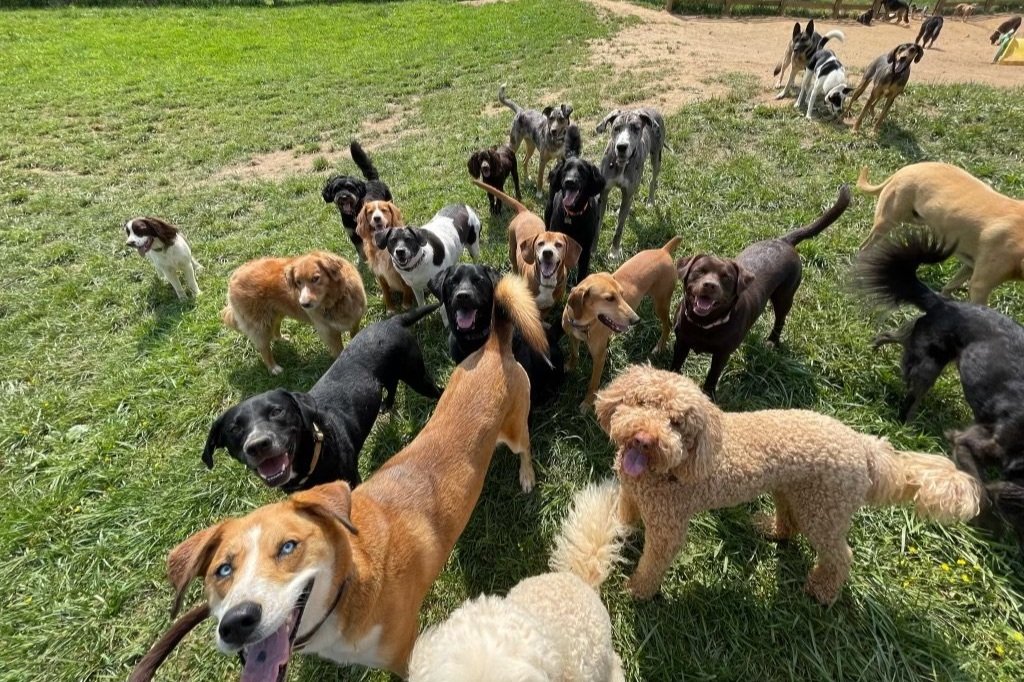 Services — Bark Camp Farm