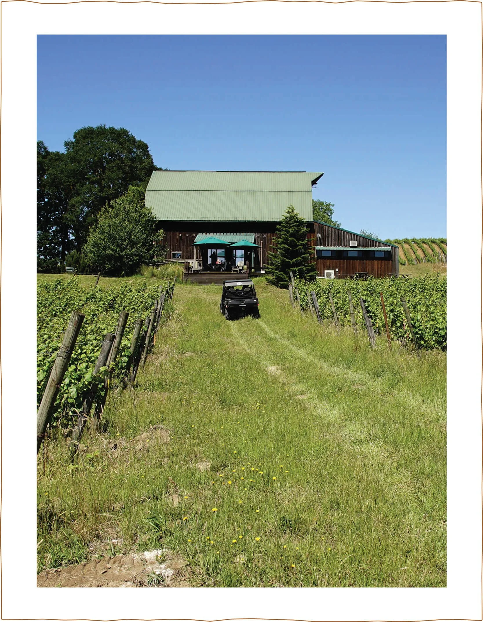 VISIT BRICK HOUSE — BRICK HOUSE WINES