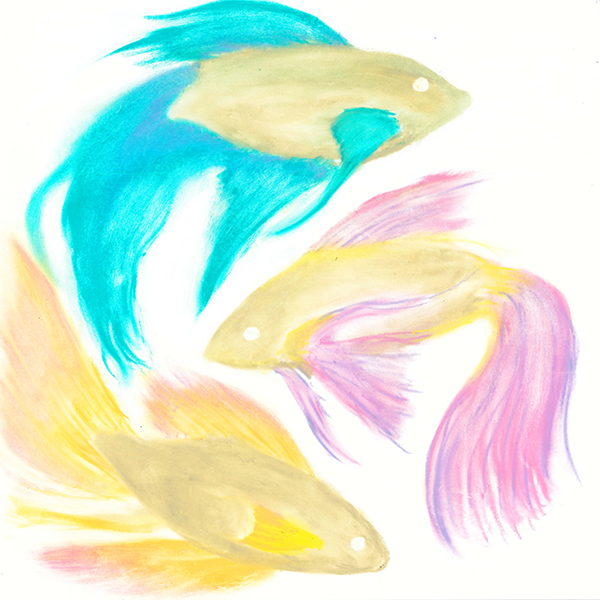 KA-JP キットパスバイアーティストエクル — kitpas global