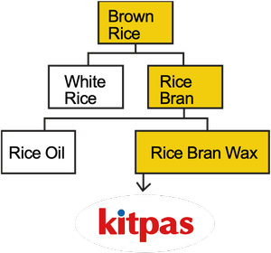 KA-JP キットパスバイアーティストエクル — kitpas global