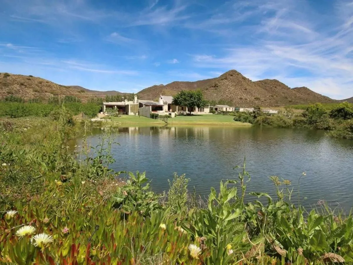 Gallery — toddleinn