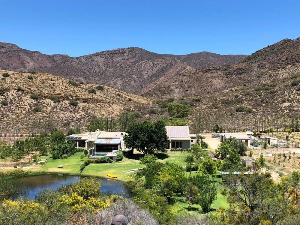 Gallery — toddleinn