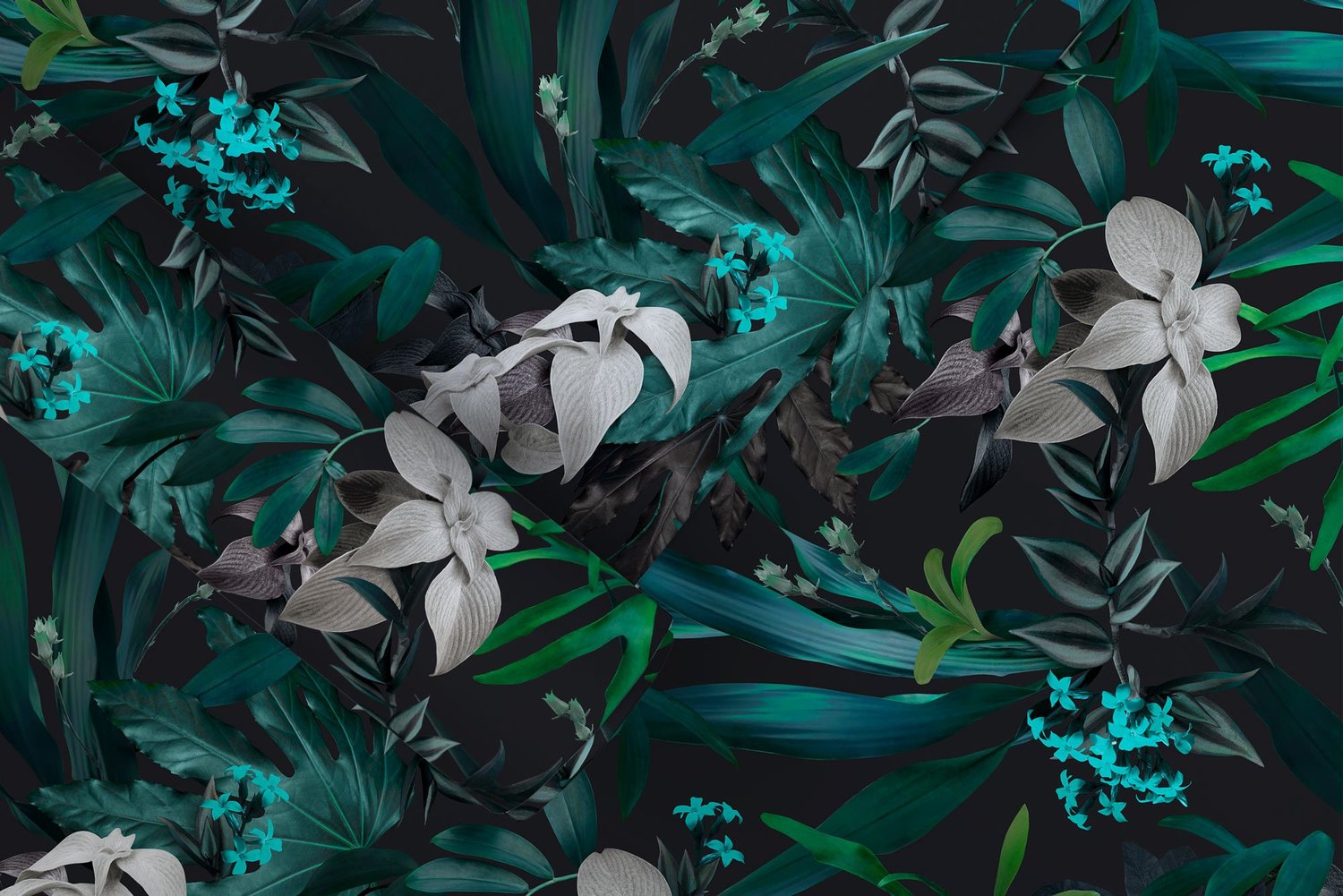 Tropical Teal — Louise Jones