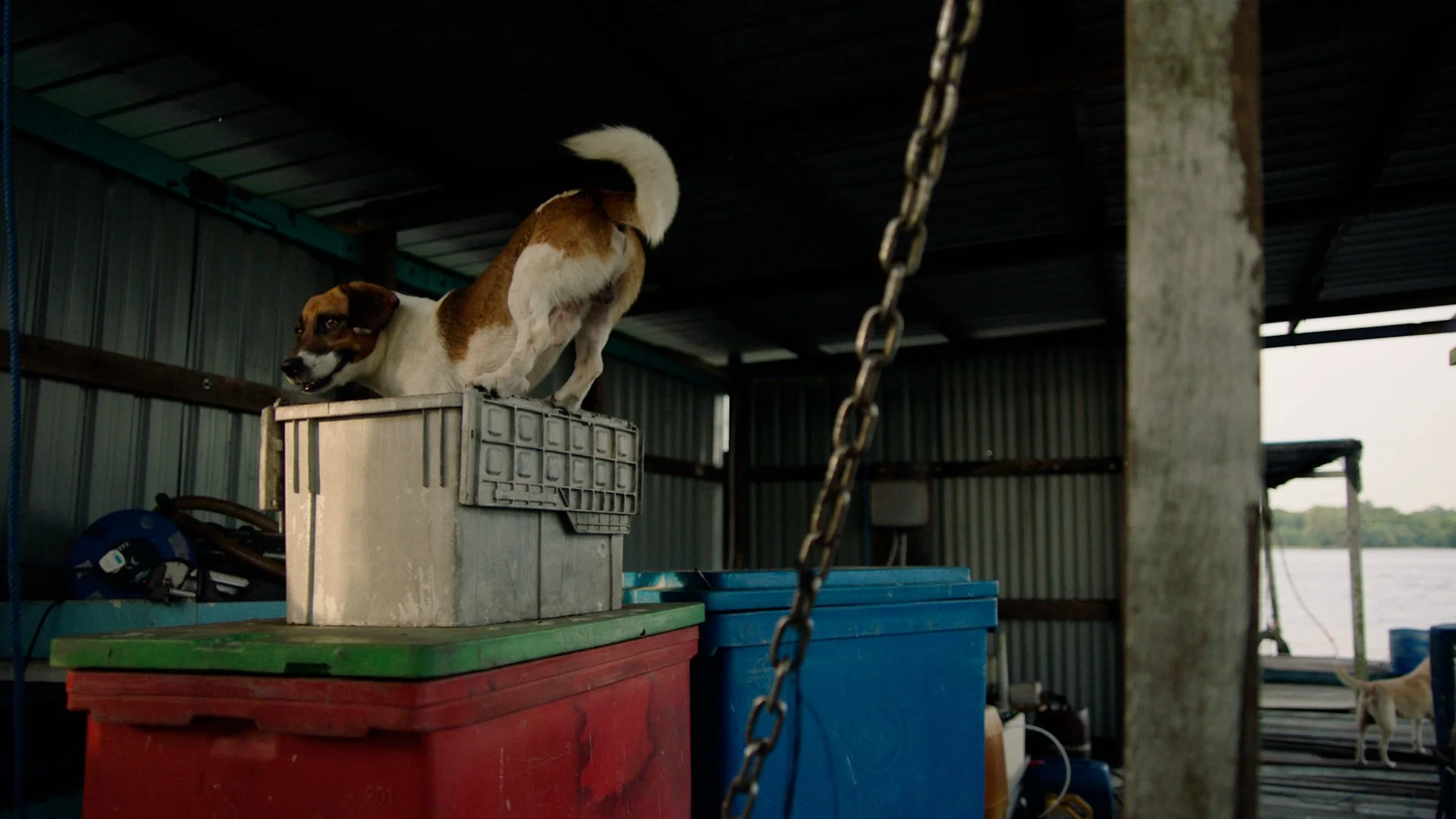 Kampong Spirit — harry scott