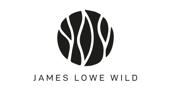 James Lowe Photographer