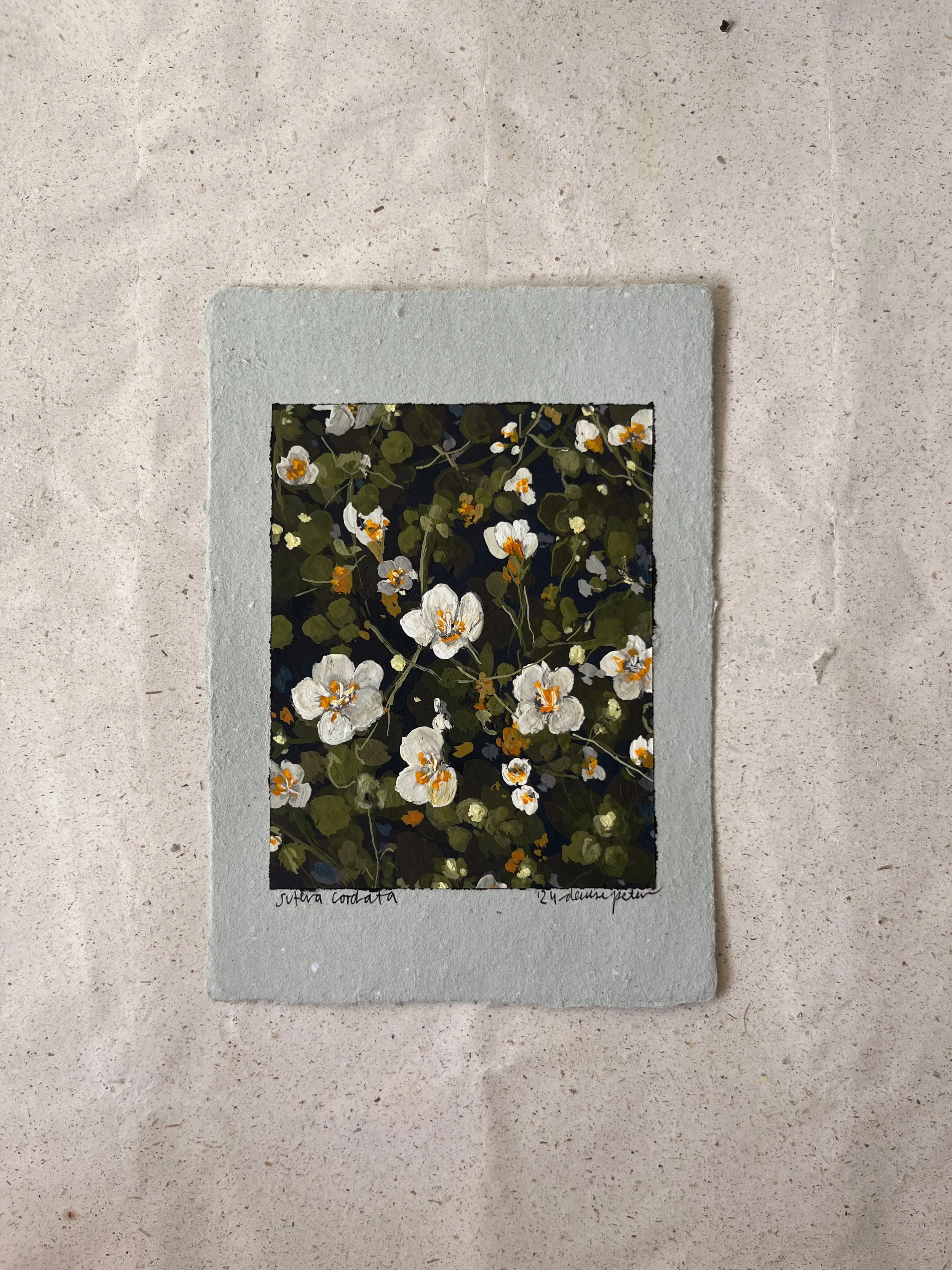 plumbago auriculata et nerium oleander, IV — Denise Peter