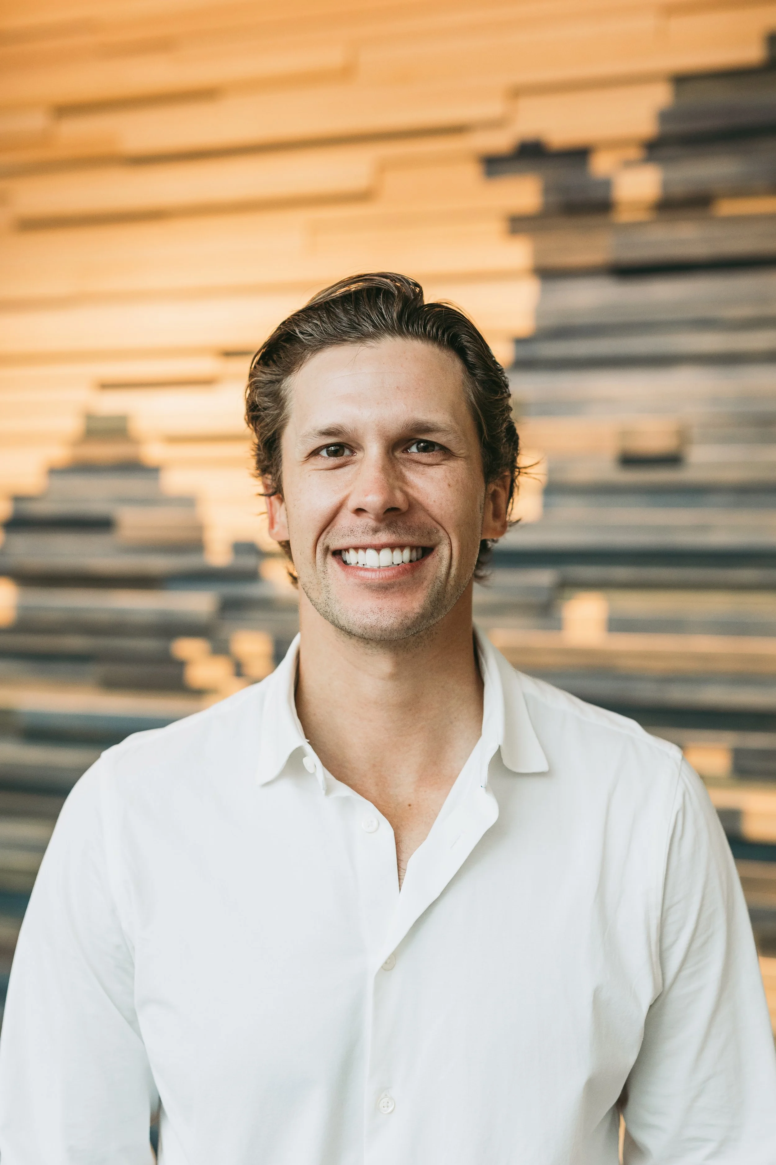 Company — Artesian Partners