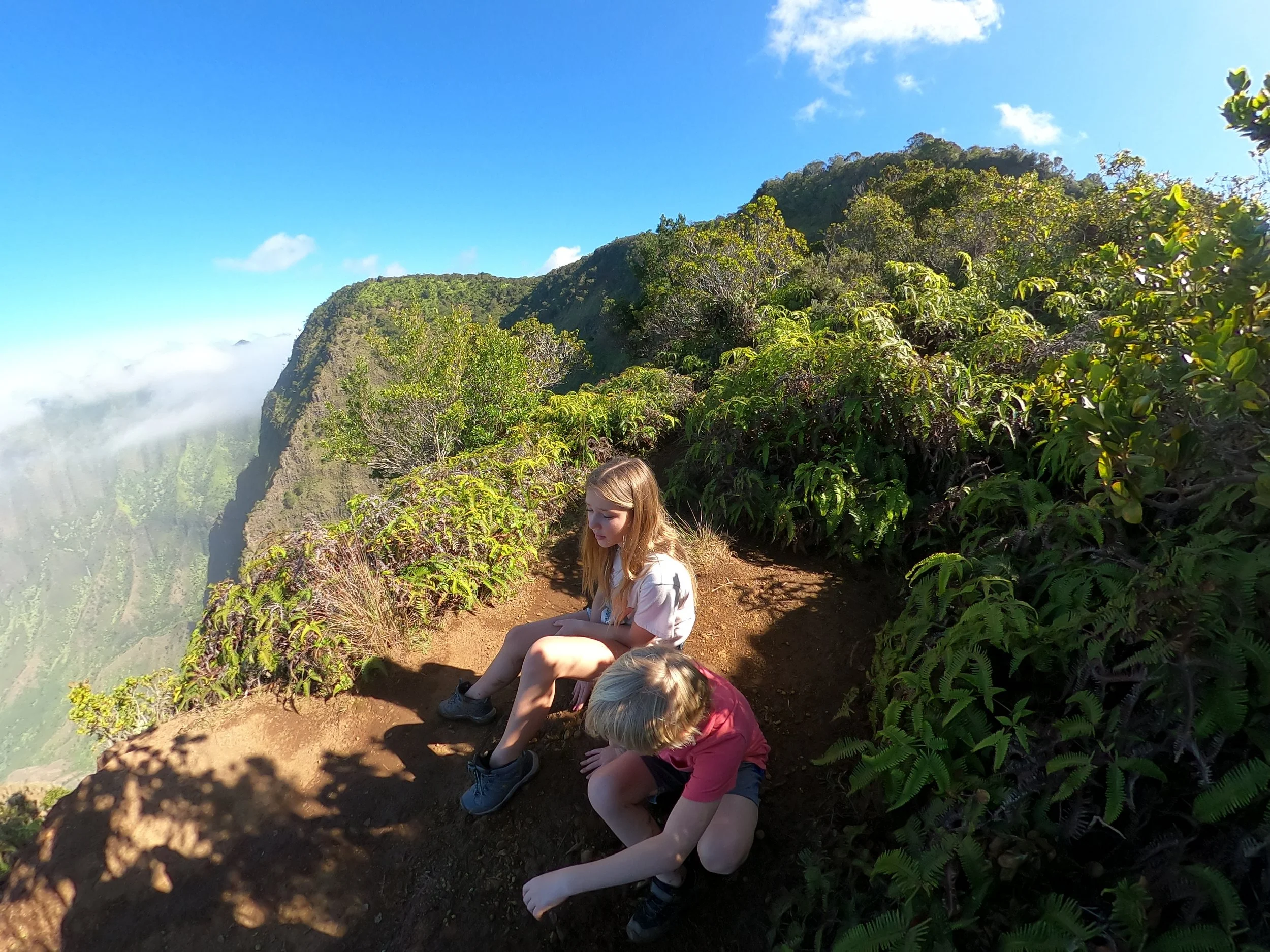 The Kalepa Ridge Hike: What not to do with Kids or Inexperienced Hikers ...