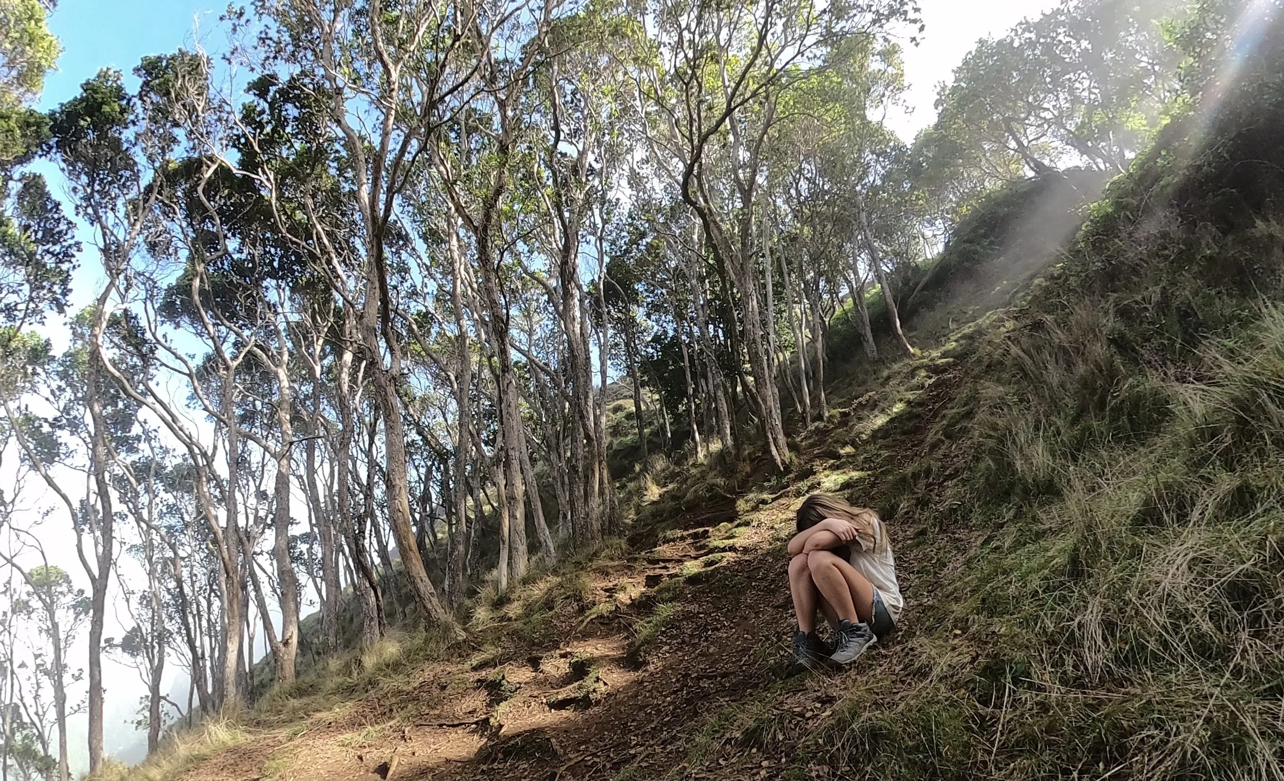 The Kalepa Ridge Hike: What not to do with Kids or Inexperienced Hikers ...