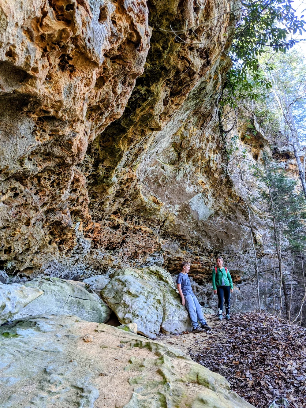 Visiting Kentucky's Red River Gorge with kids: Tips from a mother who ...