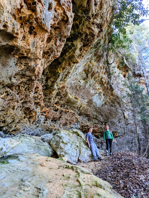 Visiting Kentucky's Red River Gorge with kids: Tips from a mother who ...