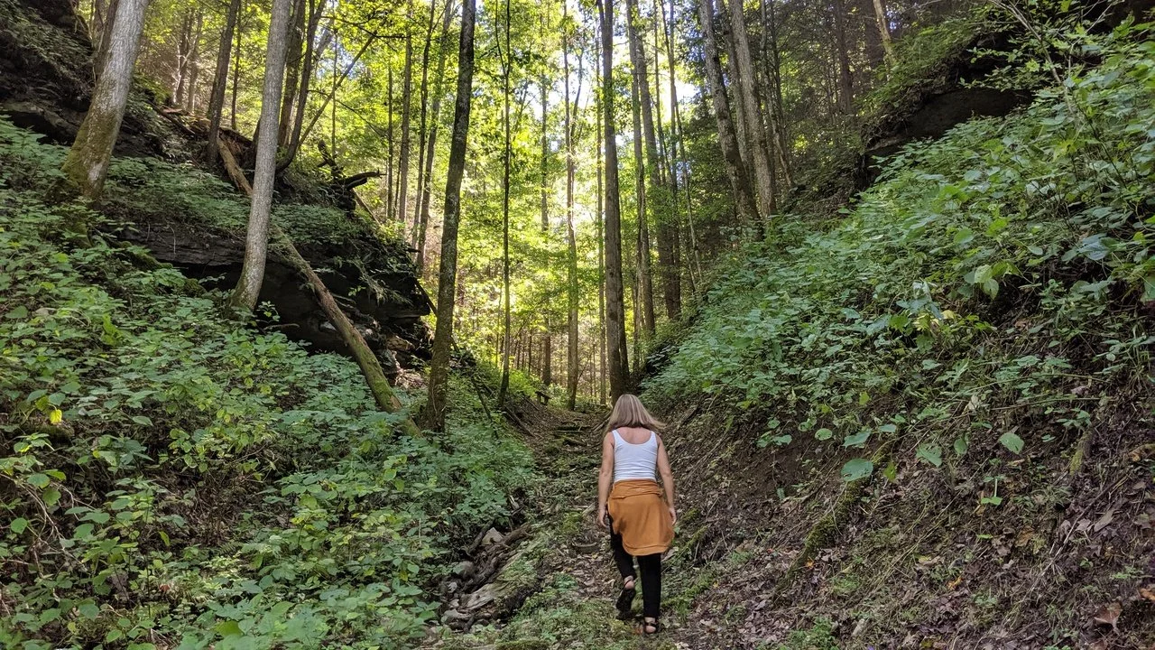 General Info for Hiking in the Red River Gorge: All of the areas ...