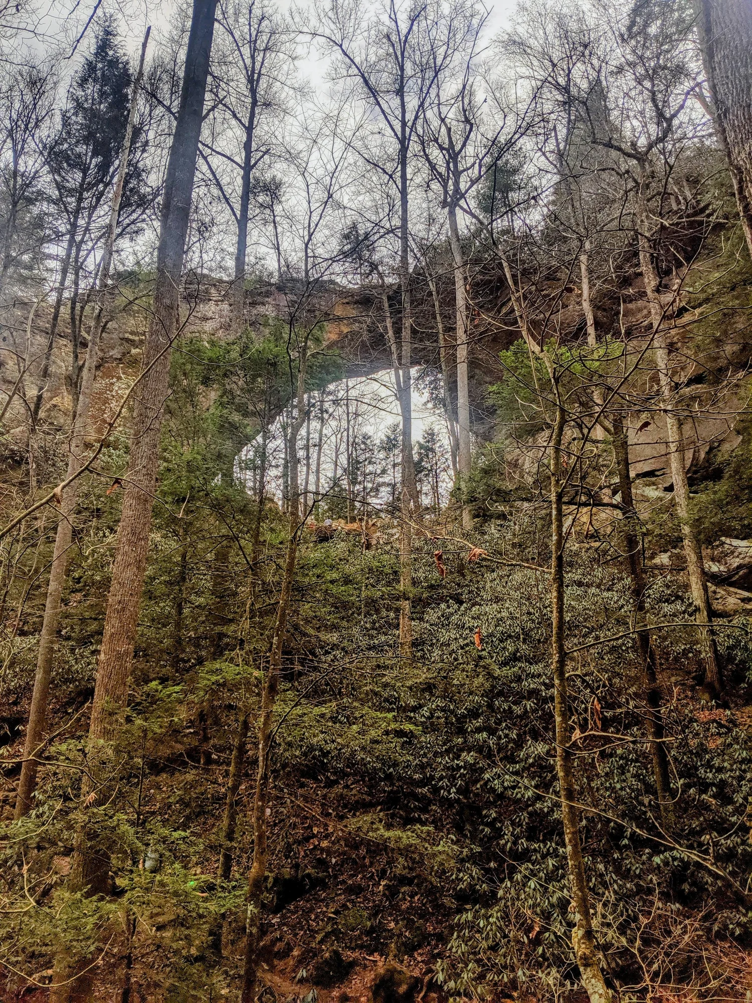 Hiking to Gray’s Arch with kids: the out and back and loop trail ...