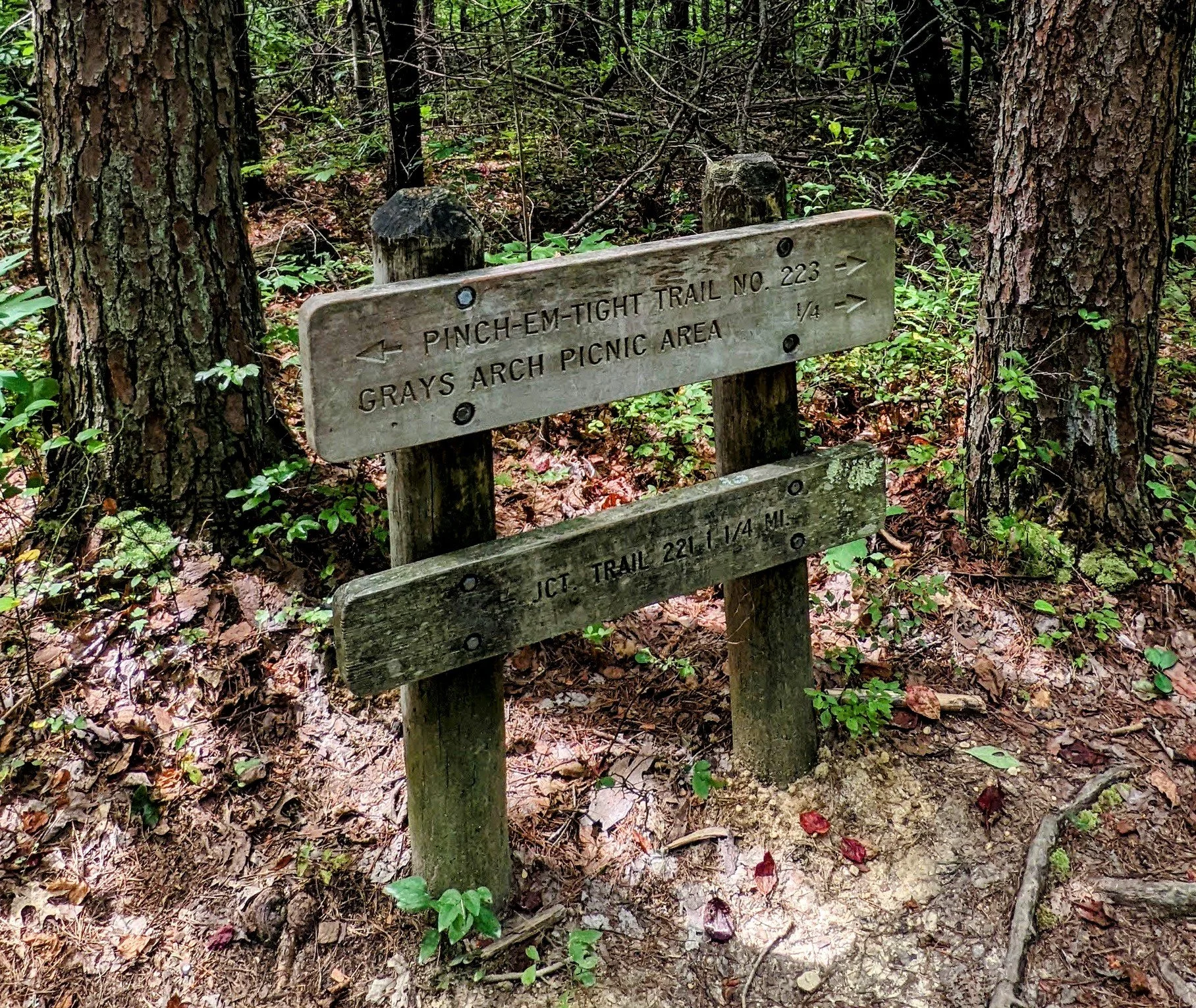 Hiking to Gray’s Arch with kids: the out and back and loop trail ...