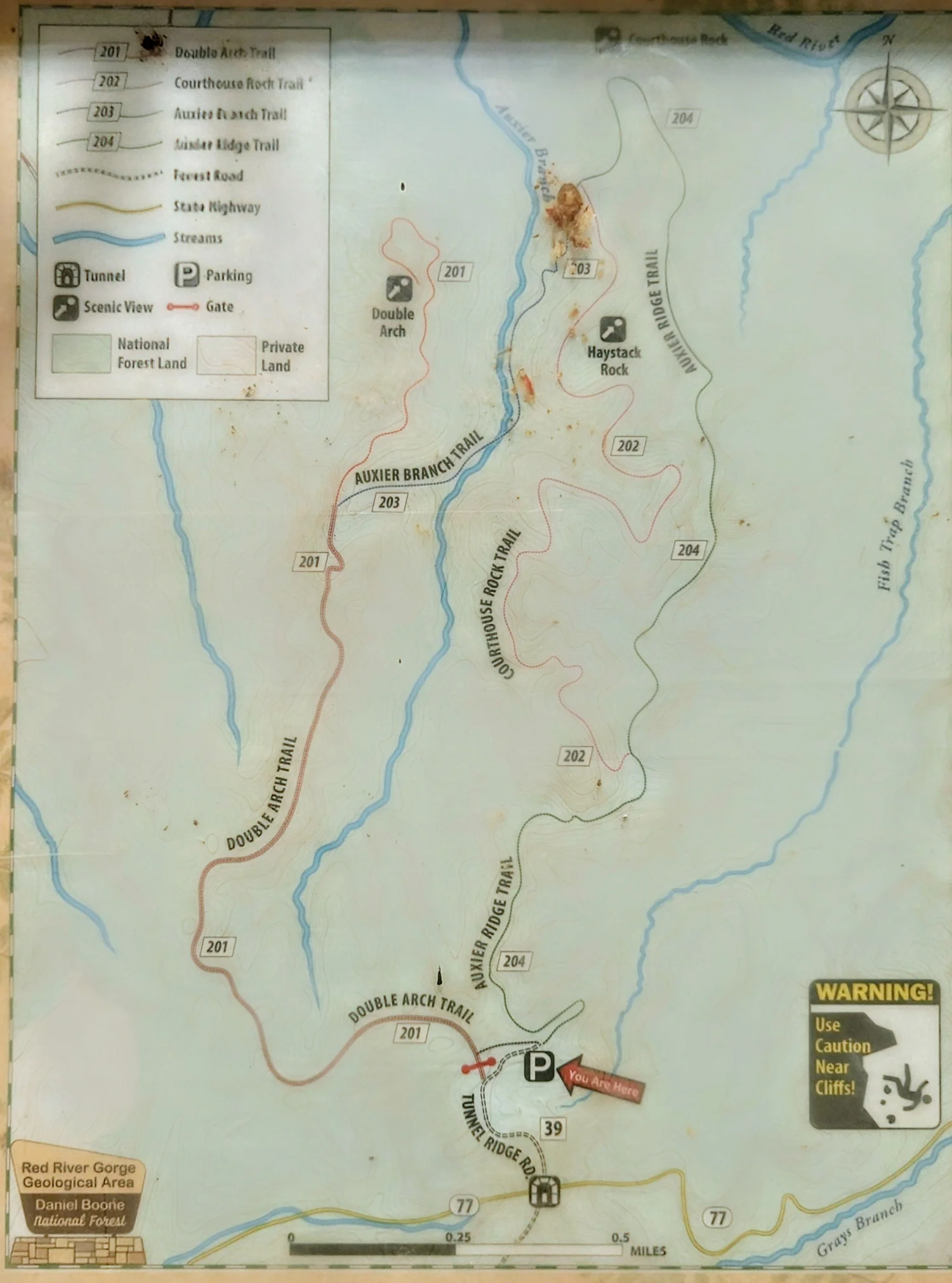 Hiking the Auxier Ridge Trail With Kids, or Without? — No Bedtimes, No ...