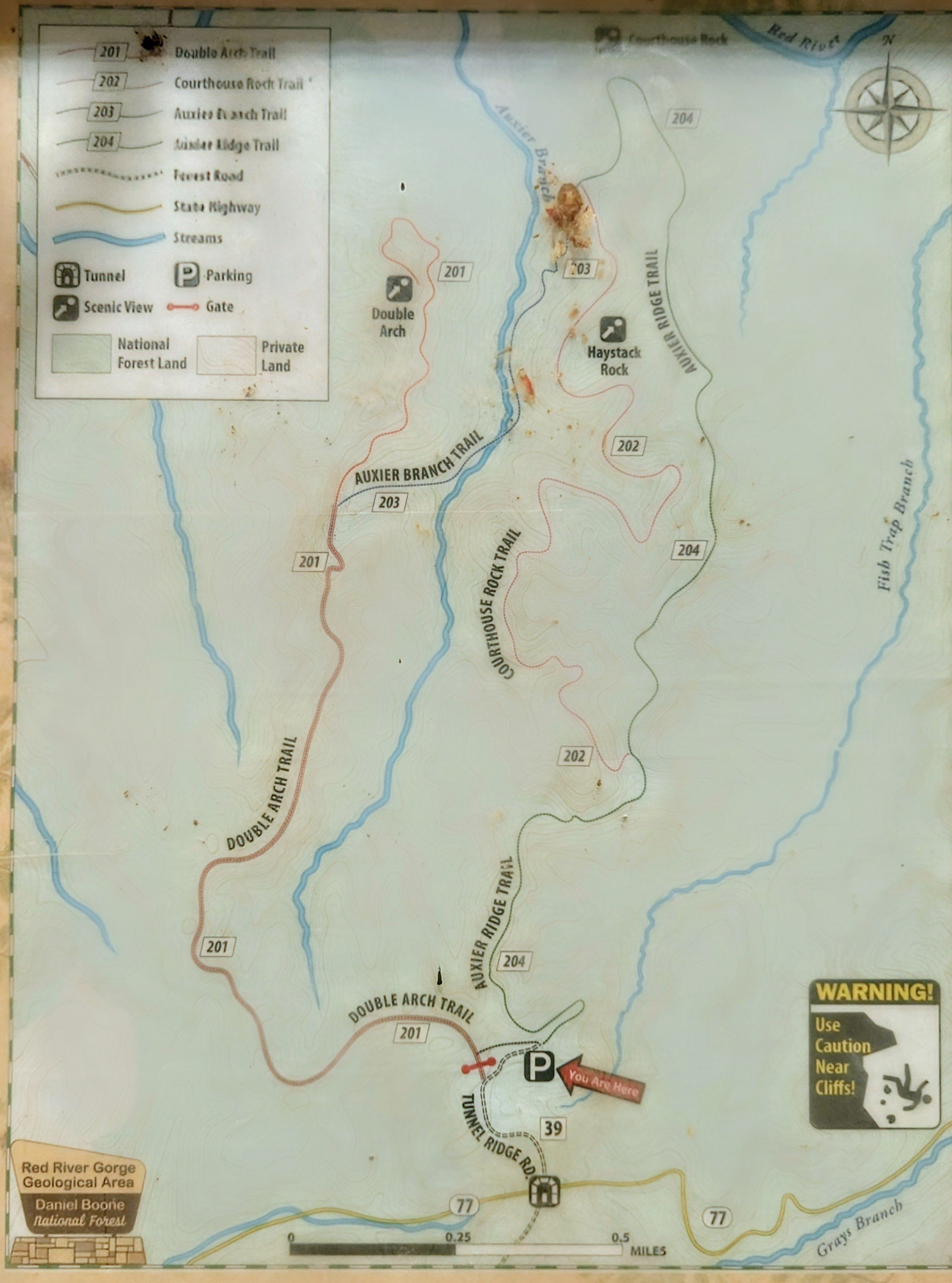 Hiking the Auxier Ridge Trail With Kids, or Without? — No Bedtimes, No ...