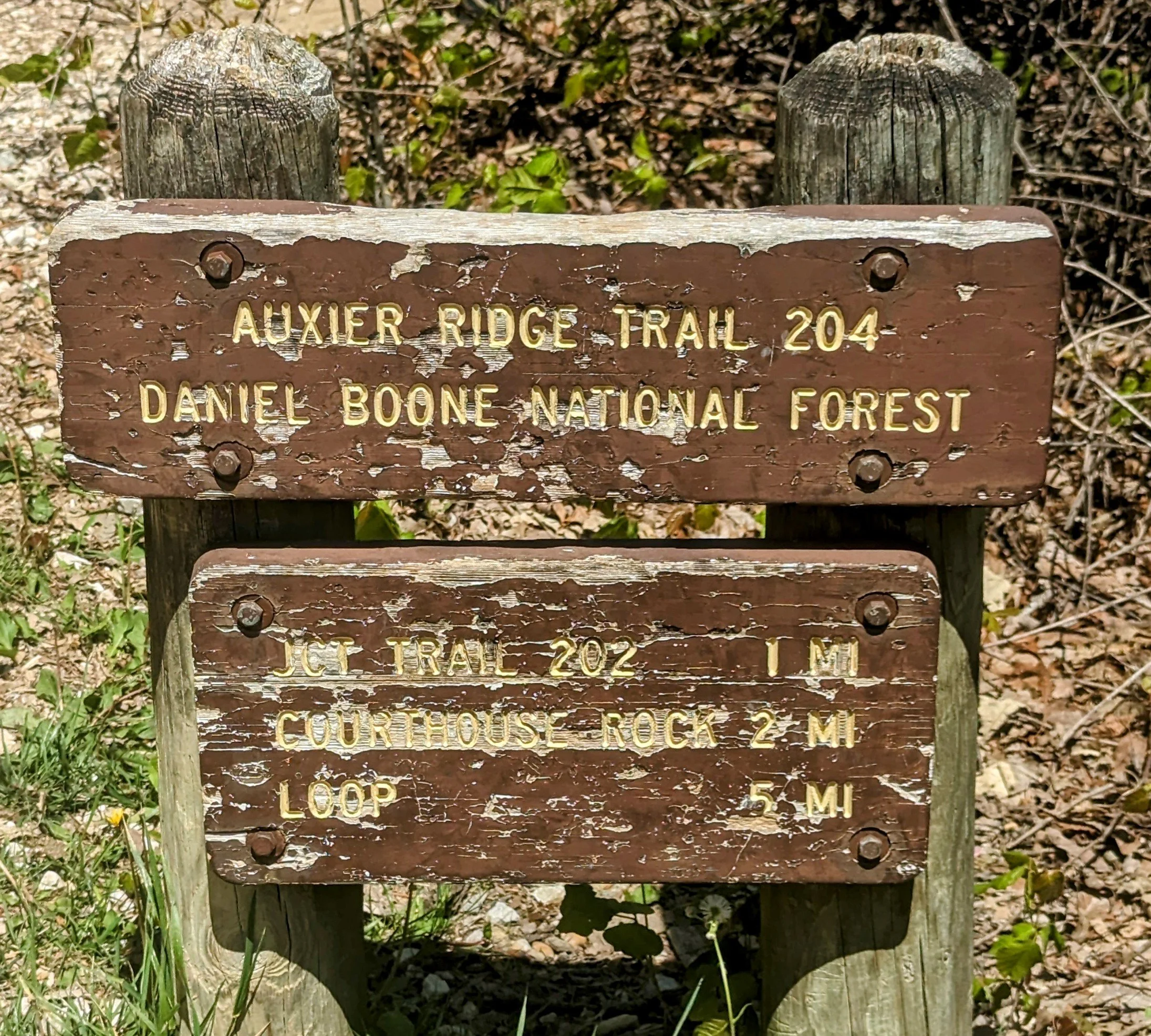 Hiking the Auxier Ridge Trail With Kids, or Without? — No Bedtimes, No ...