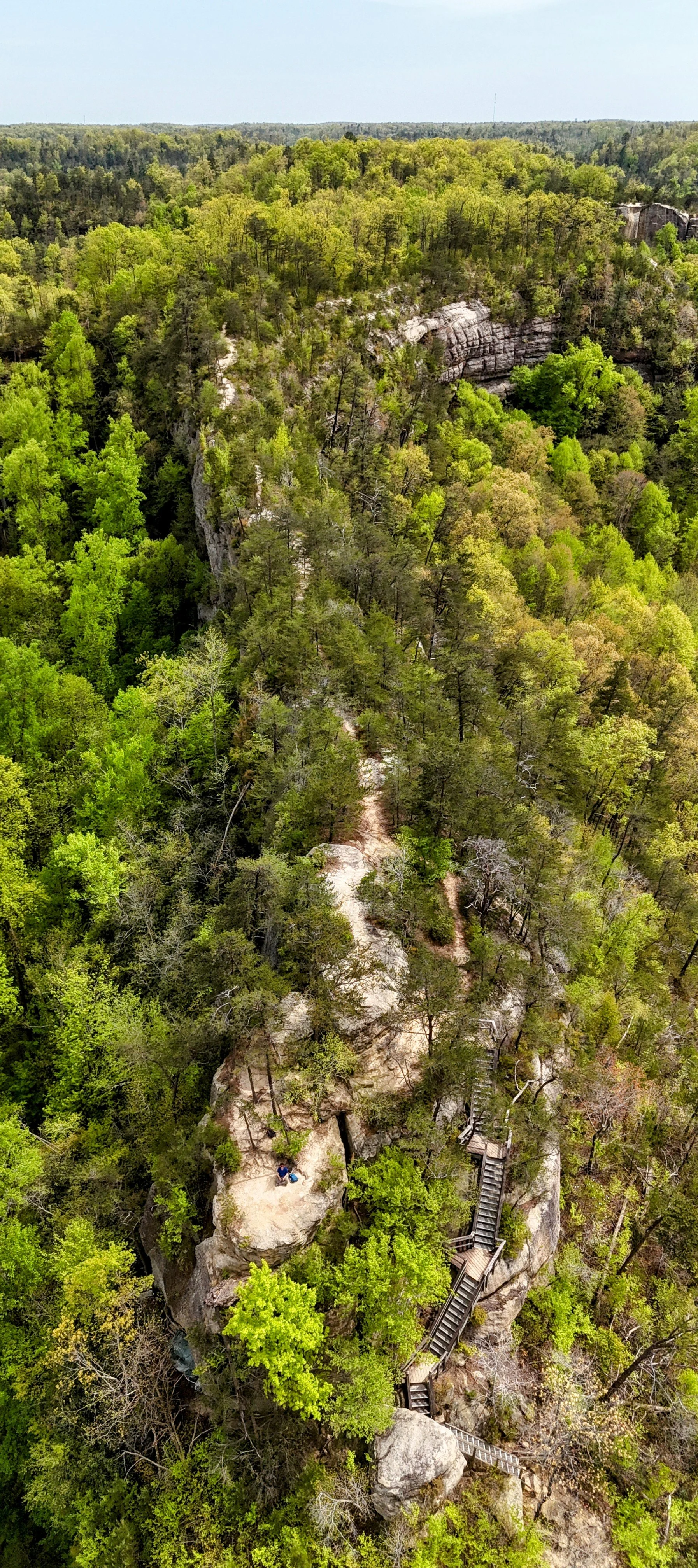 Hiking the Auxier Ridge Trail With Kids, or Without? — No Bedtimes, No ...