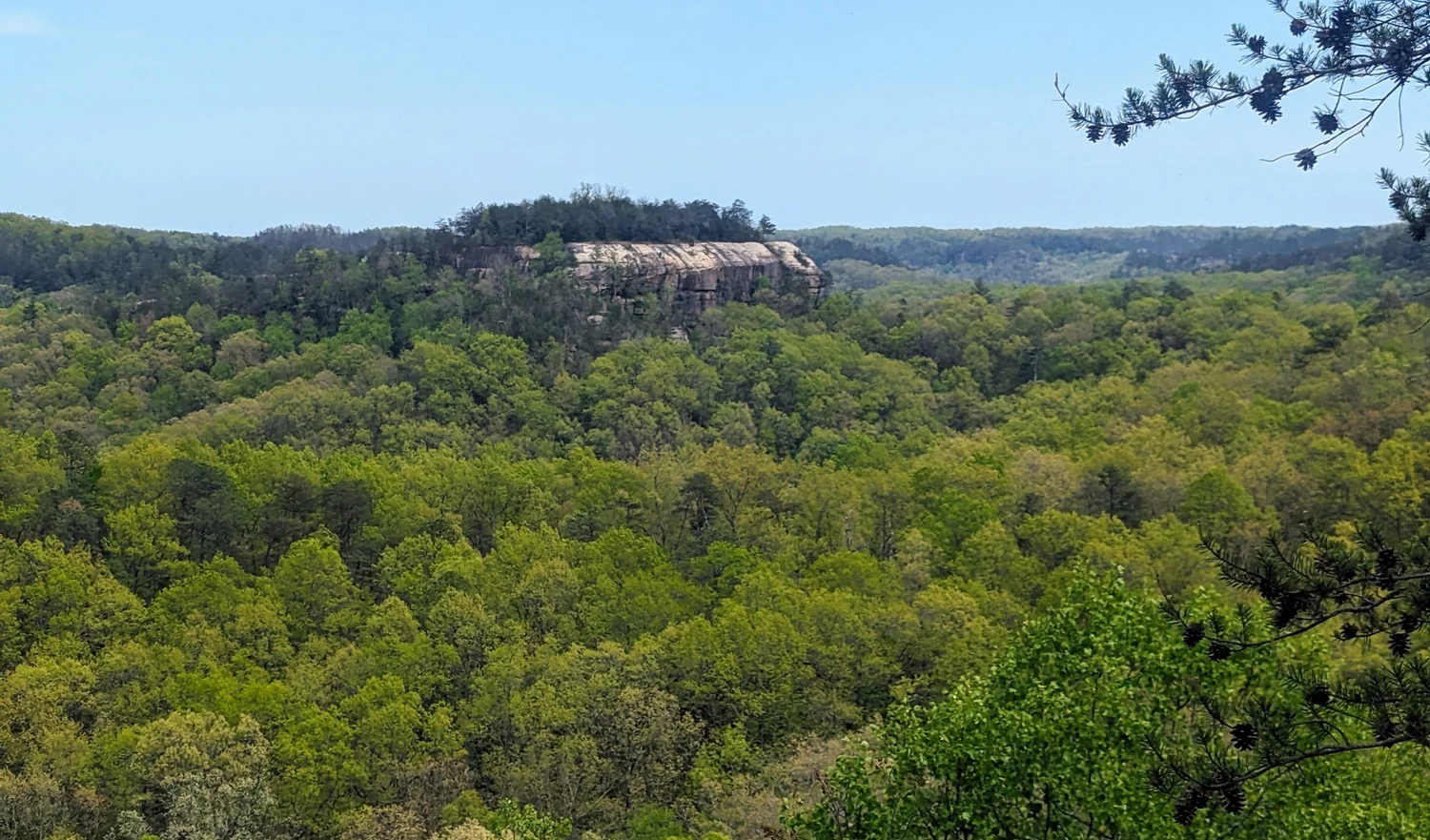 Hiking the Auxier Ridge Trail With Kids, or Without? — No Bedtimes, No ...