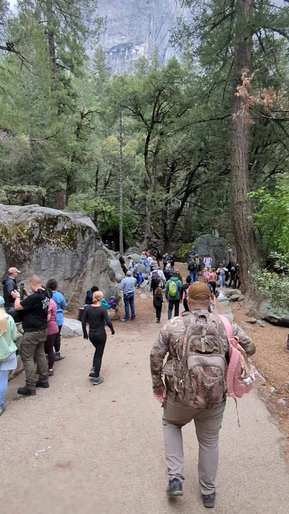 72 hours in Yosemite with kids: planning a smooth and memorable visit ...
