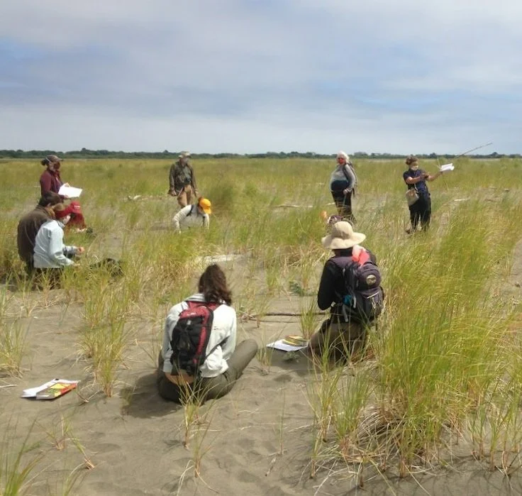 Learning Events — Native Plant Salvage Foundation