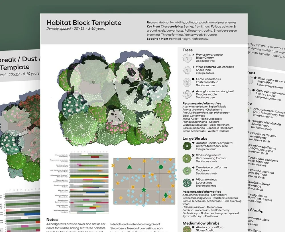 Hedgerows — Native Plant Salvage Foundation