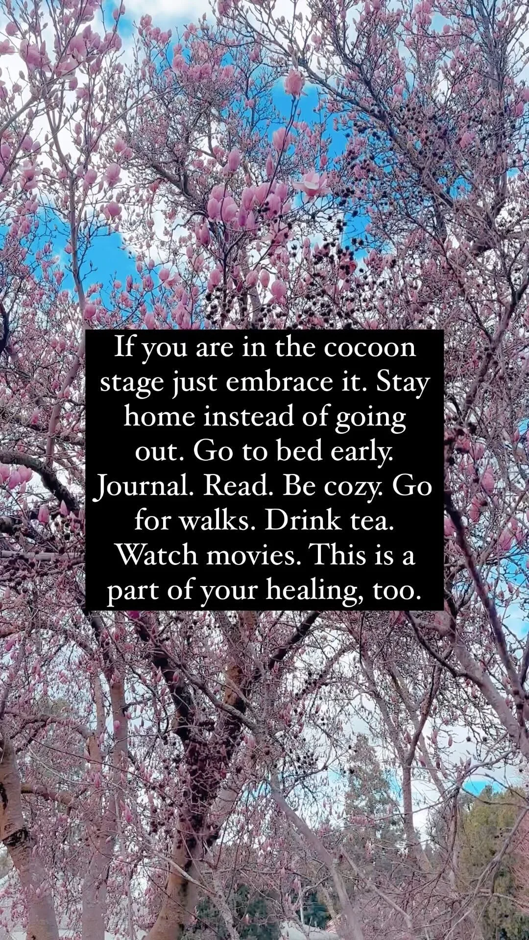 Blog — Morgan Chantelle Coaching