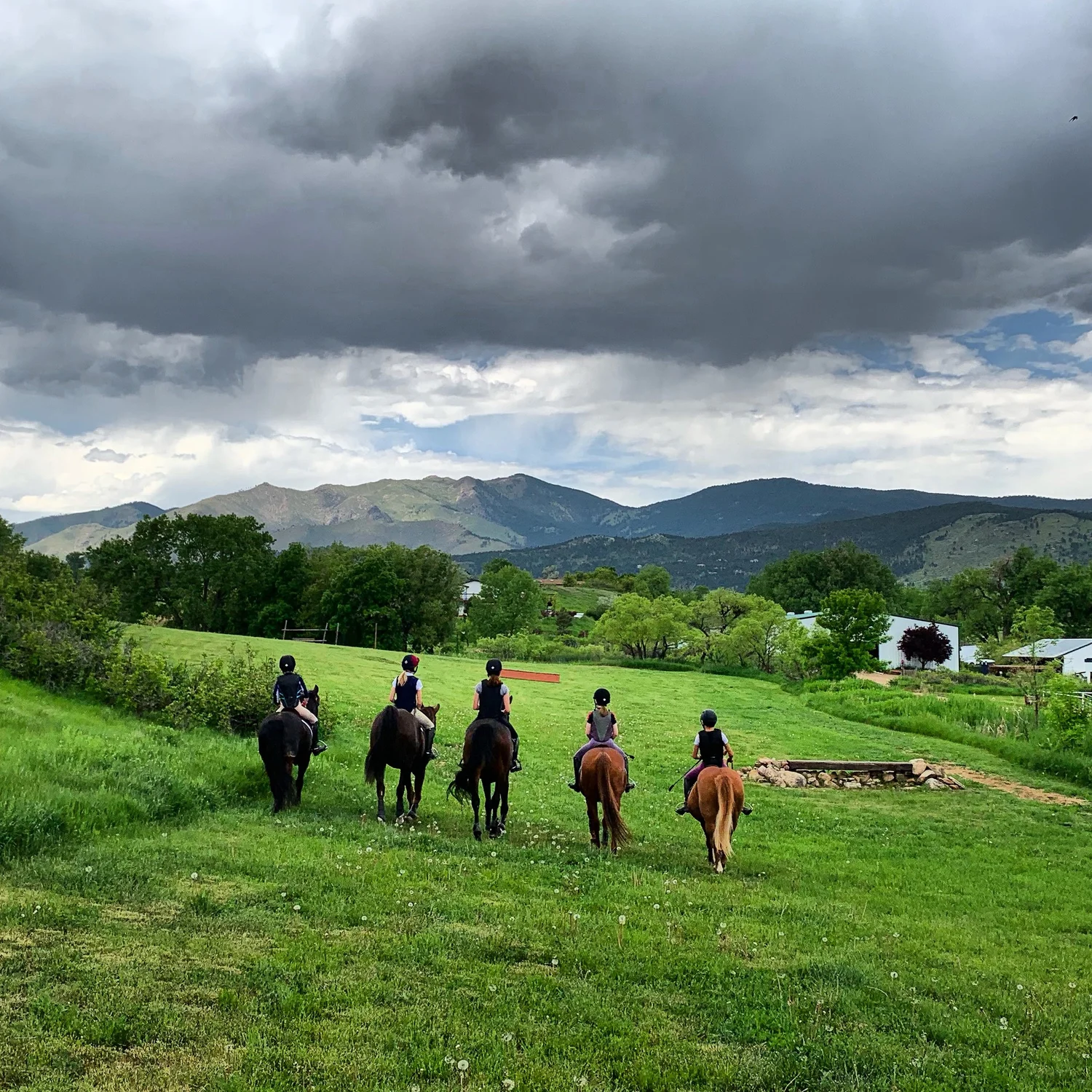 About 1 — Triple Creek Ranch