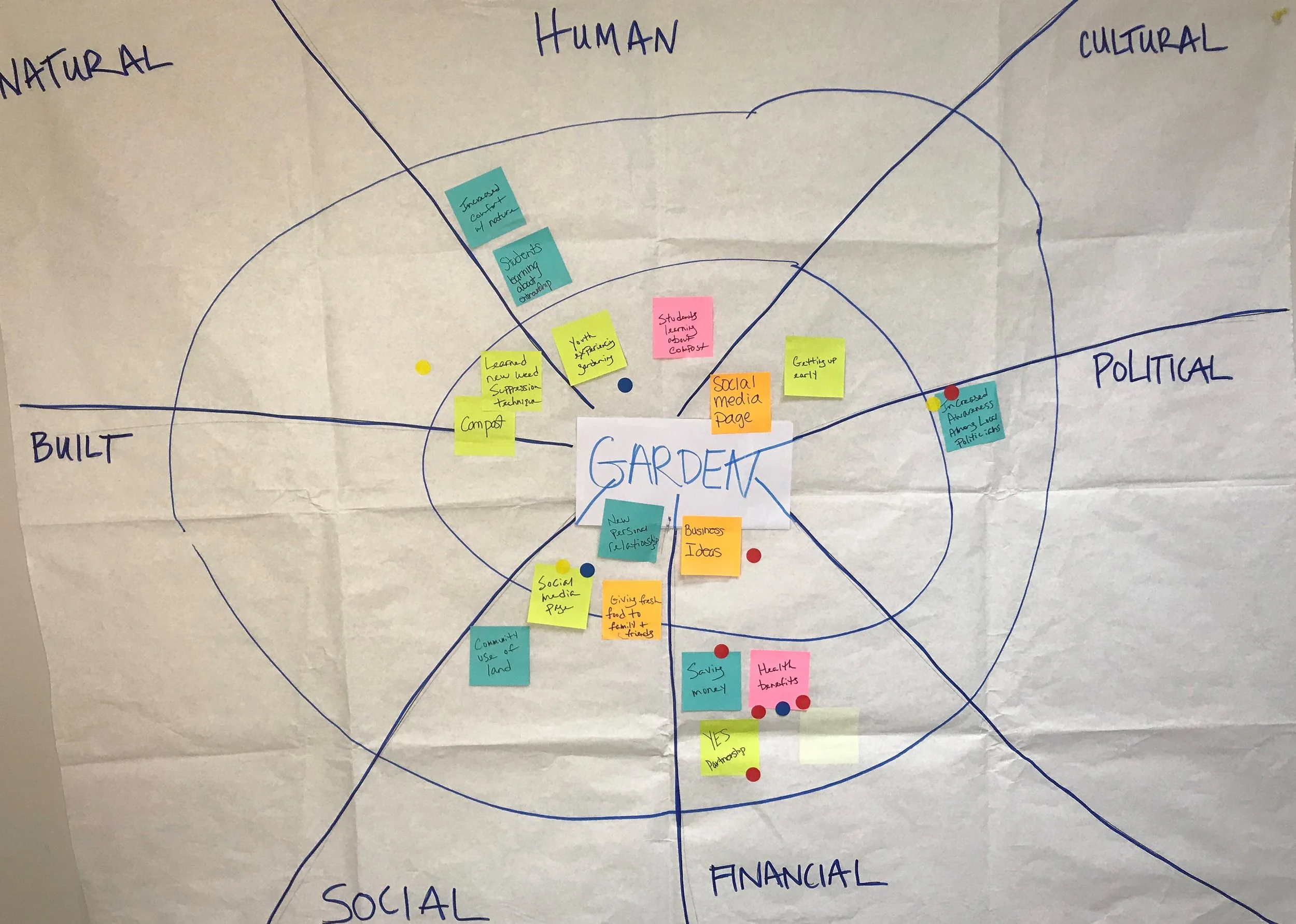 Community Gardens — Claire Sadeghzadeh