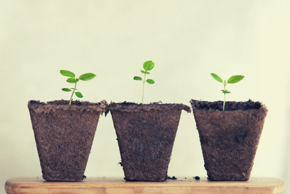 Grace Ministries International