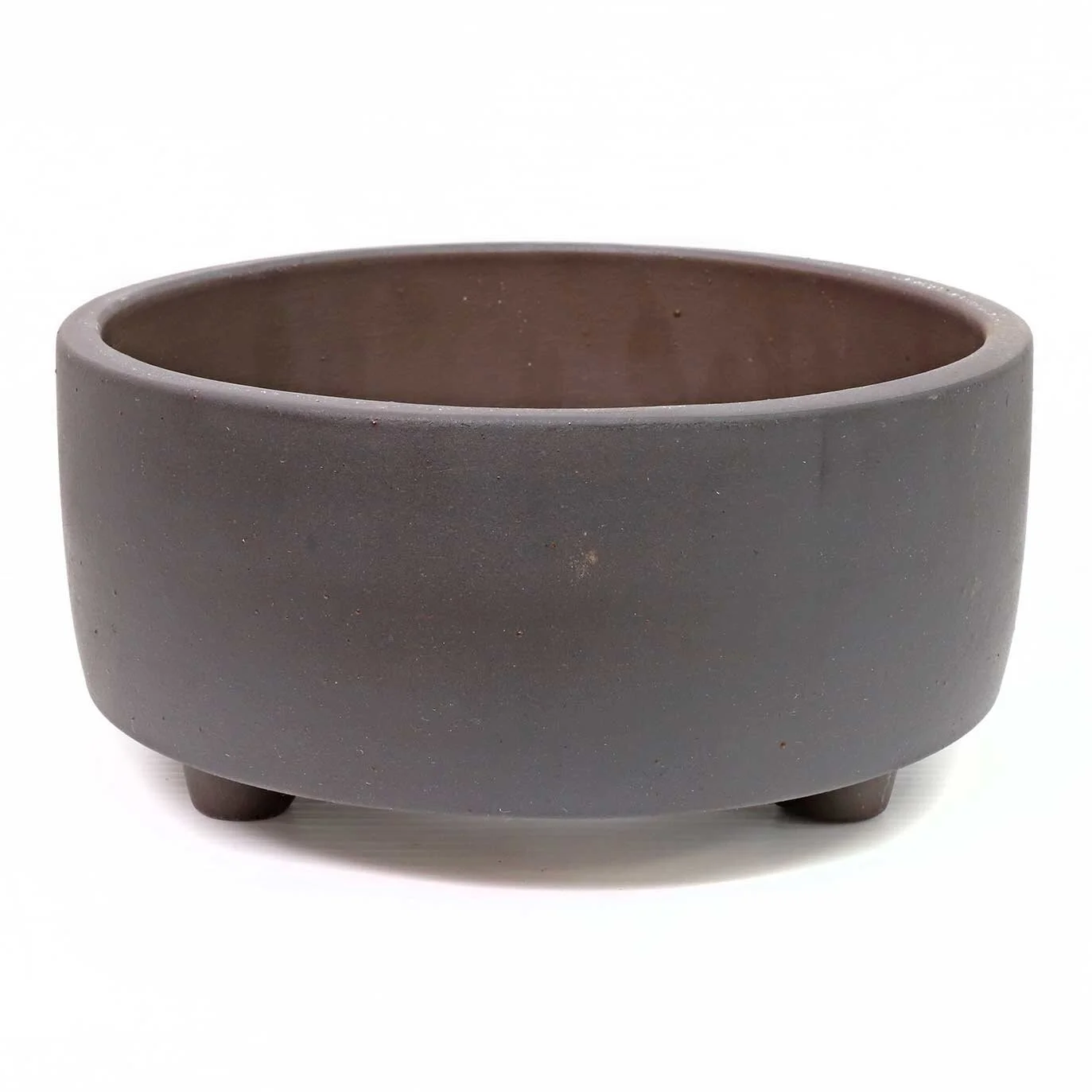 Bonsai — California Home & Garden