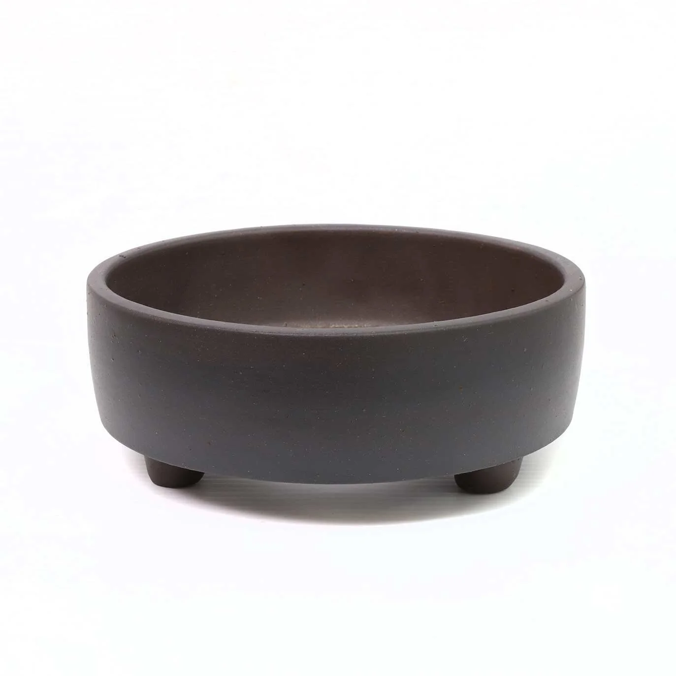 Bonsai — California Home & Garden