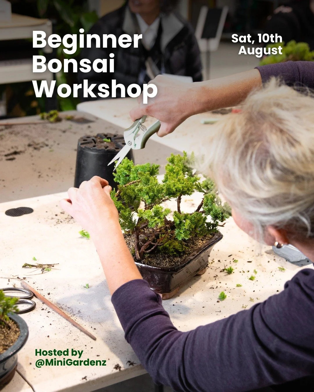 California Home & Garden