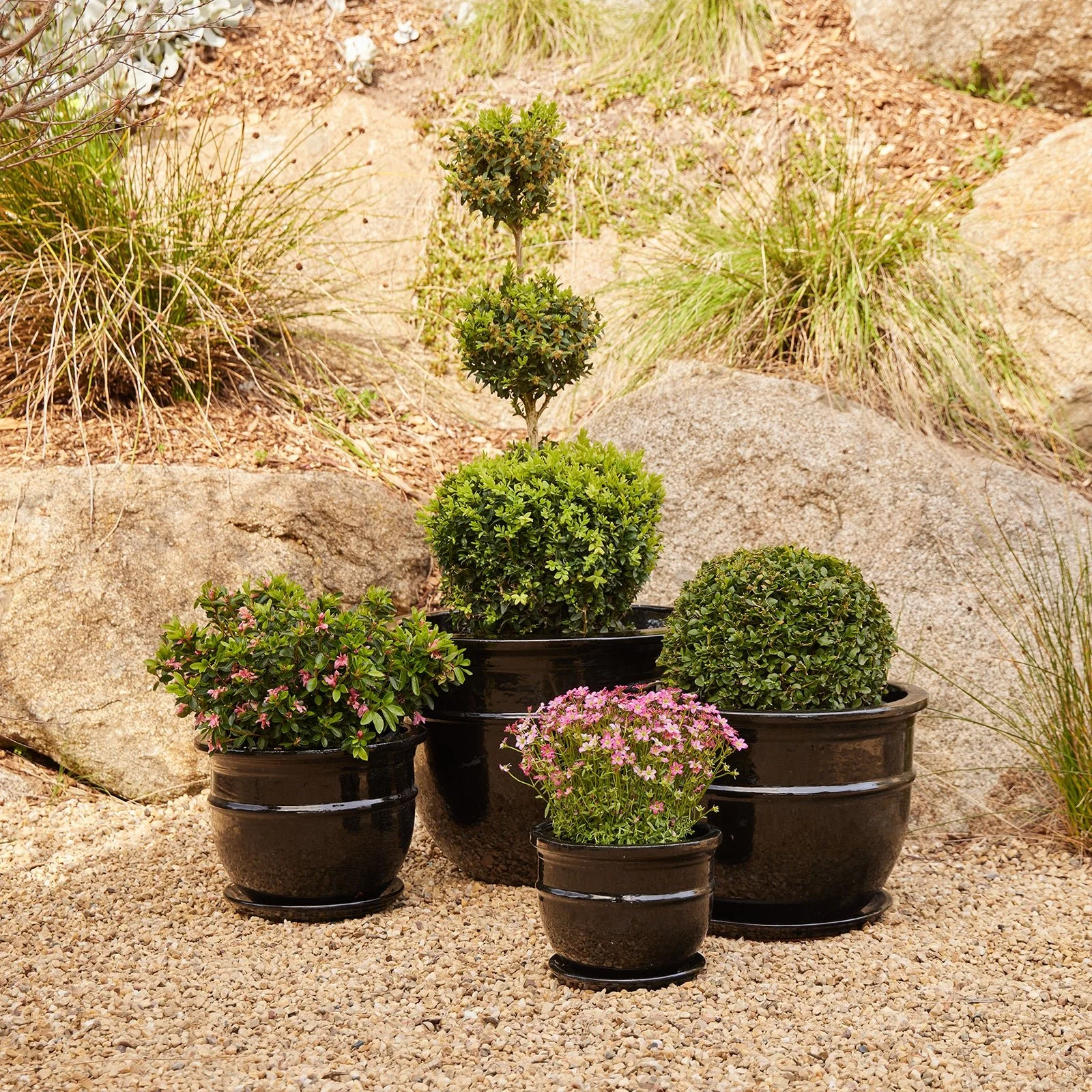 Glazed Belly Pot Red — California Home & Garden