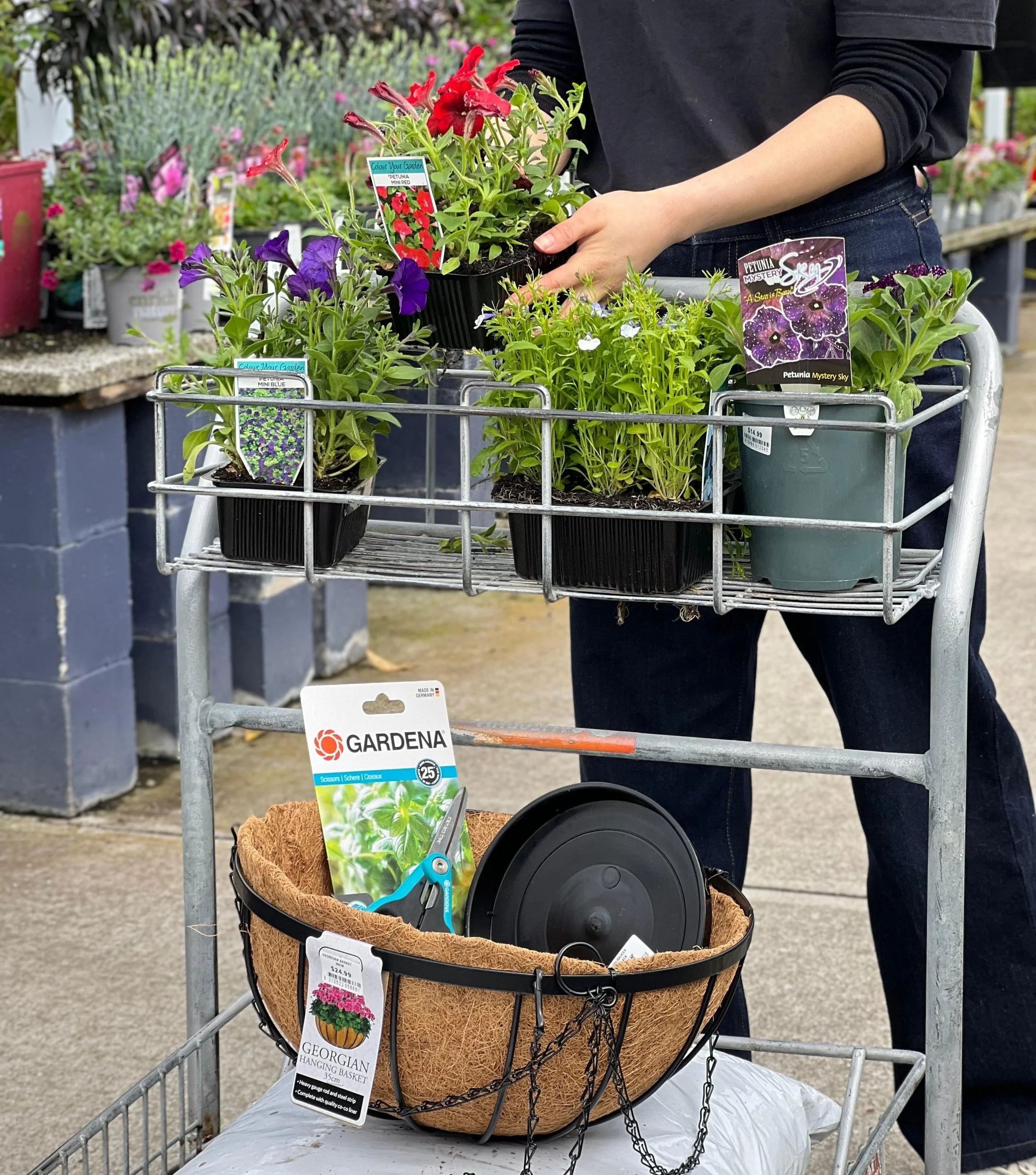 Create a hanging basket — California Home & Garden