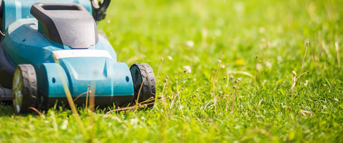 June — California Home & Garden