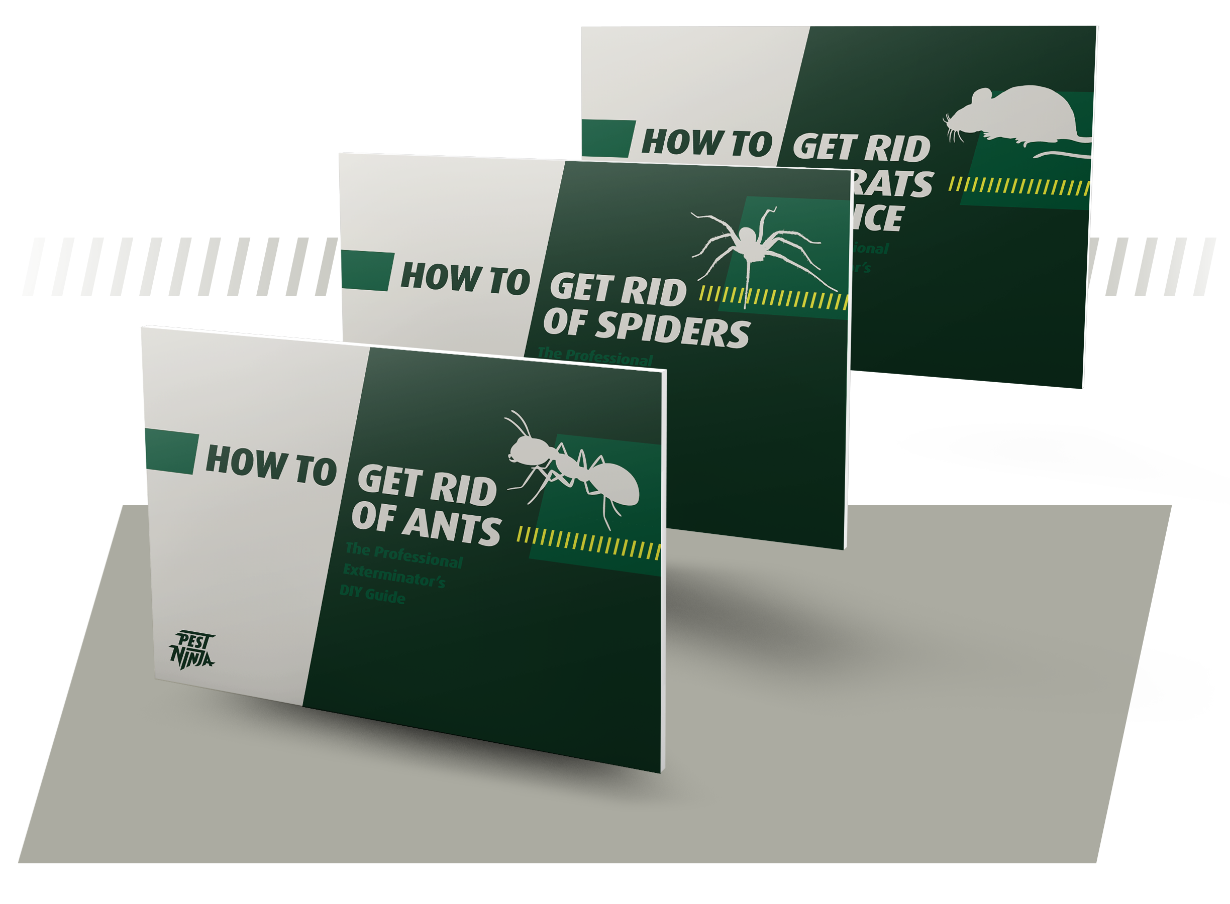 DIY Pest Control for Ants, Spiders, & Rodents | Pest Ninja