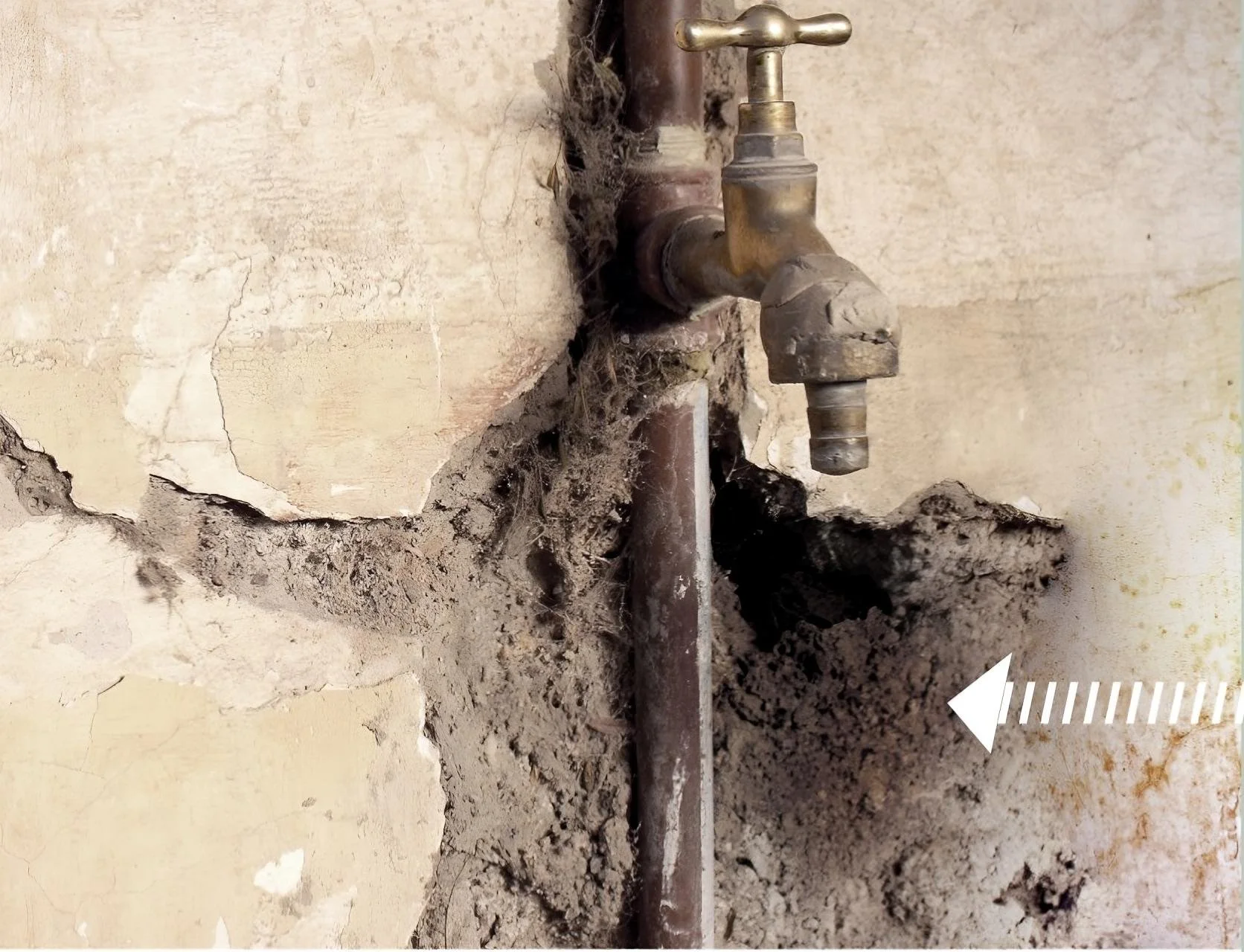 12 Clear Signs of a Rodent Infestation in Your Home