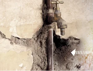 12 Clear Signs of a Rodent Infestation in Your Home