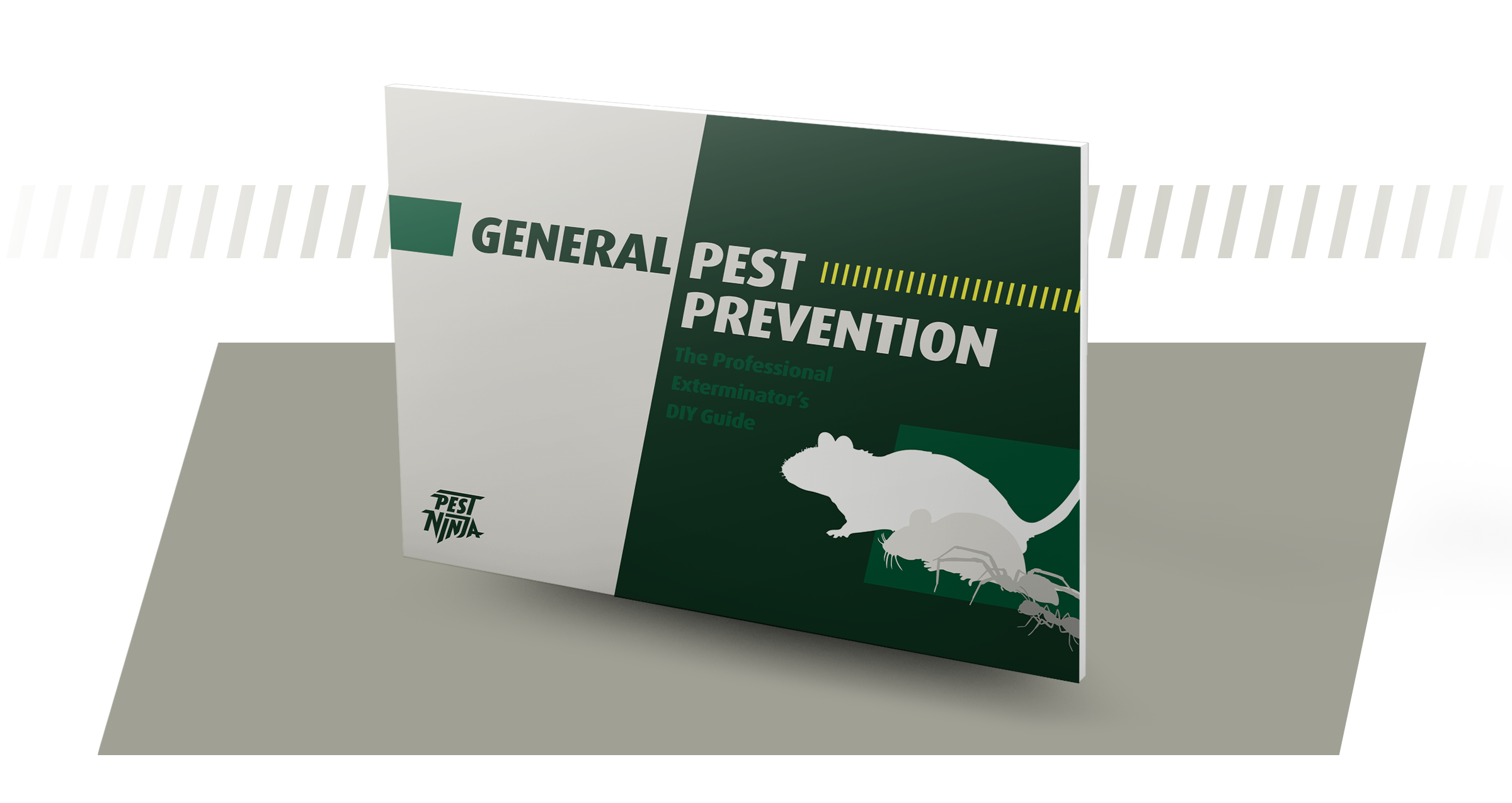DIY Pest Control for Ants, Spiders, & Rodents | Pest Ninja