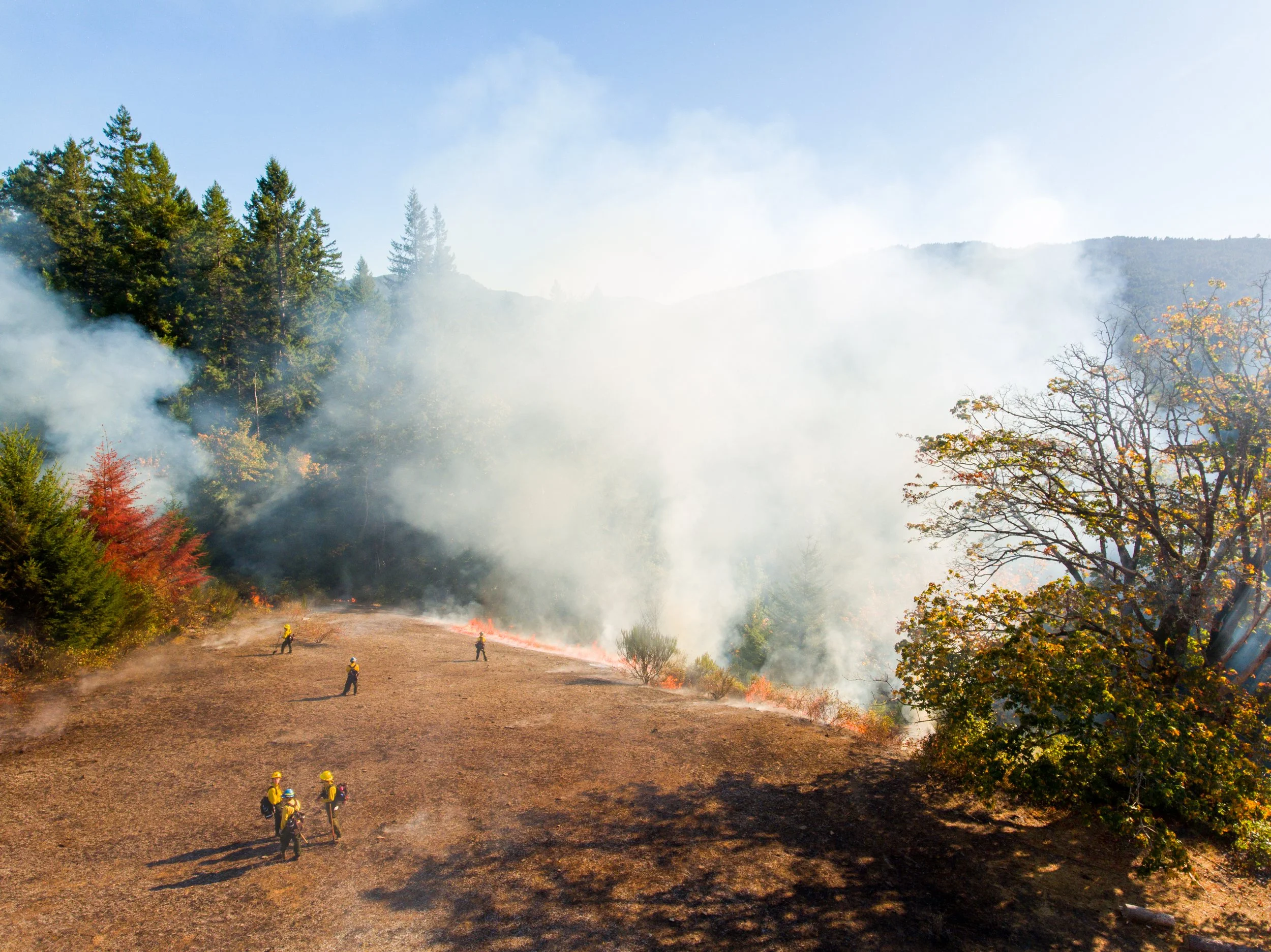 About — Elemental: Reimagine Wildfire