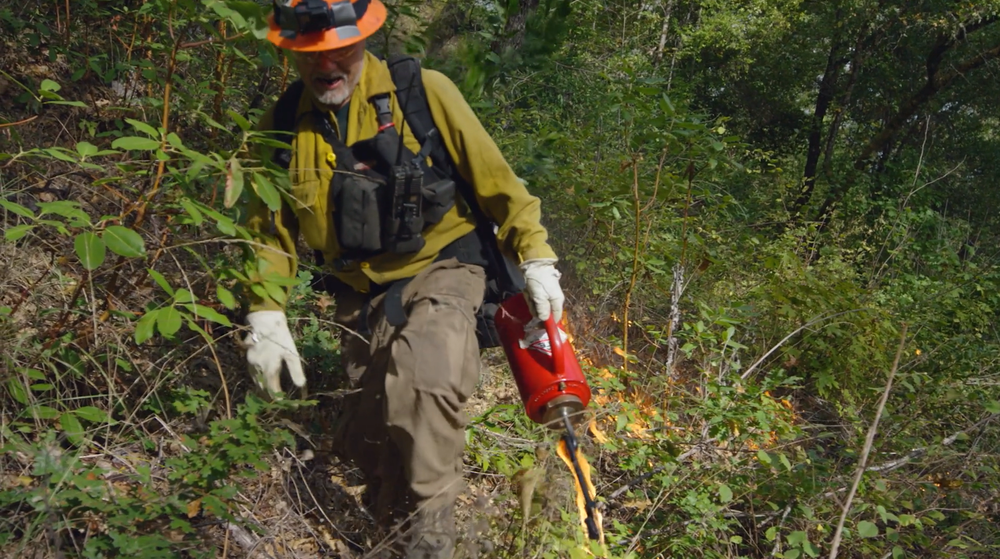 Elemental: Reimagine Wildfire