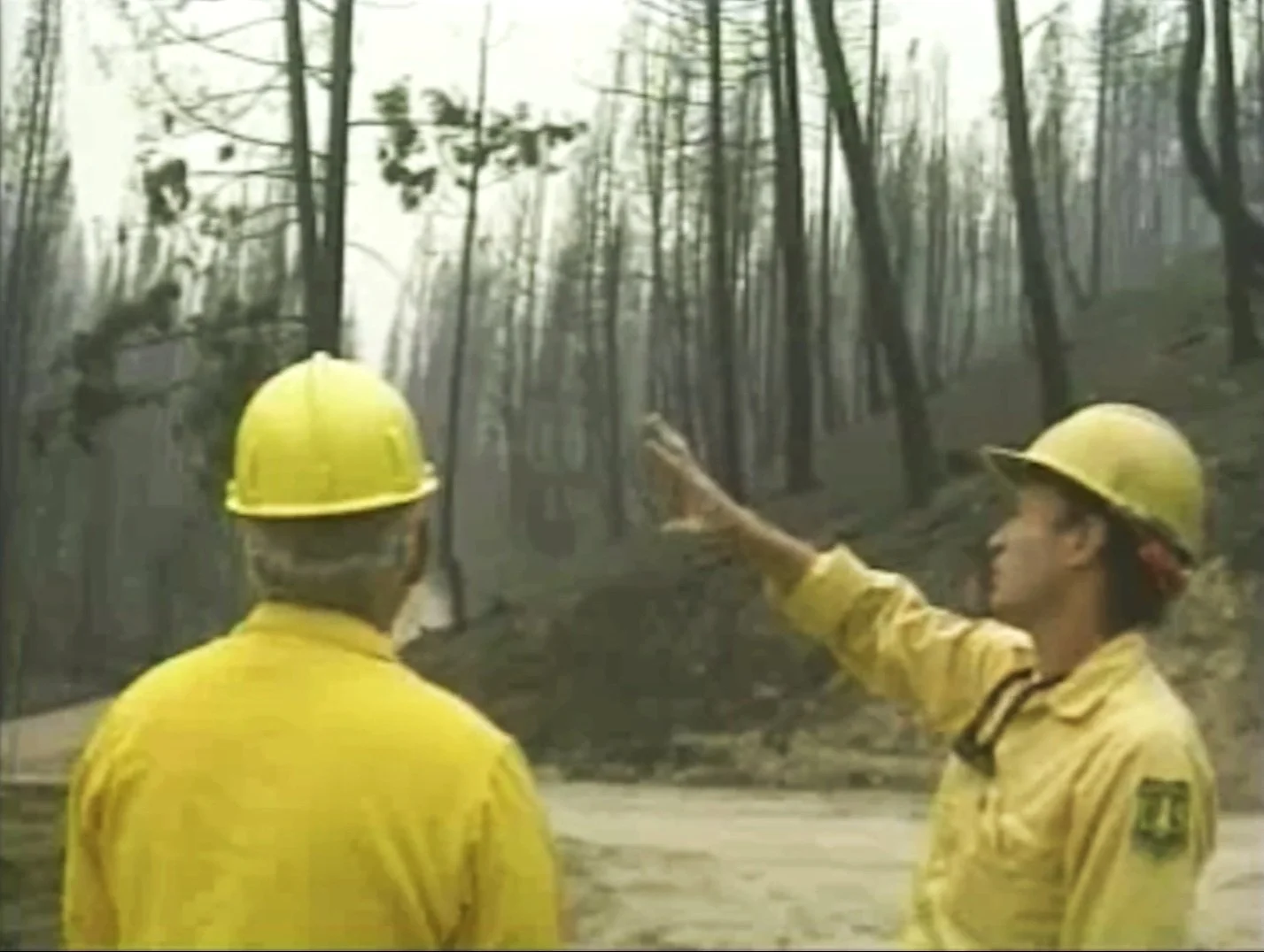 Meet The Experts- Dr. Jack Cohen — Elemental: Reimagine Wildfire