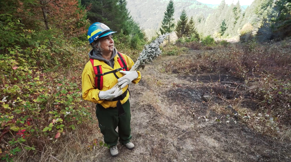 Meet The Experts- Margo Robbins — Elemental: Reimagine Wildfire