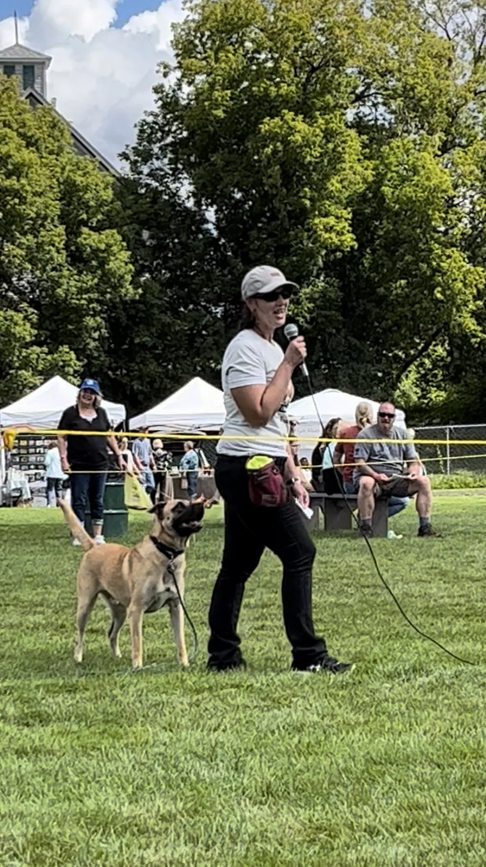 Meet the Team / Qualifications — North Star Canine Connection, LLC