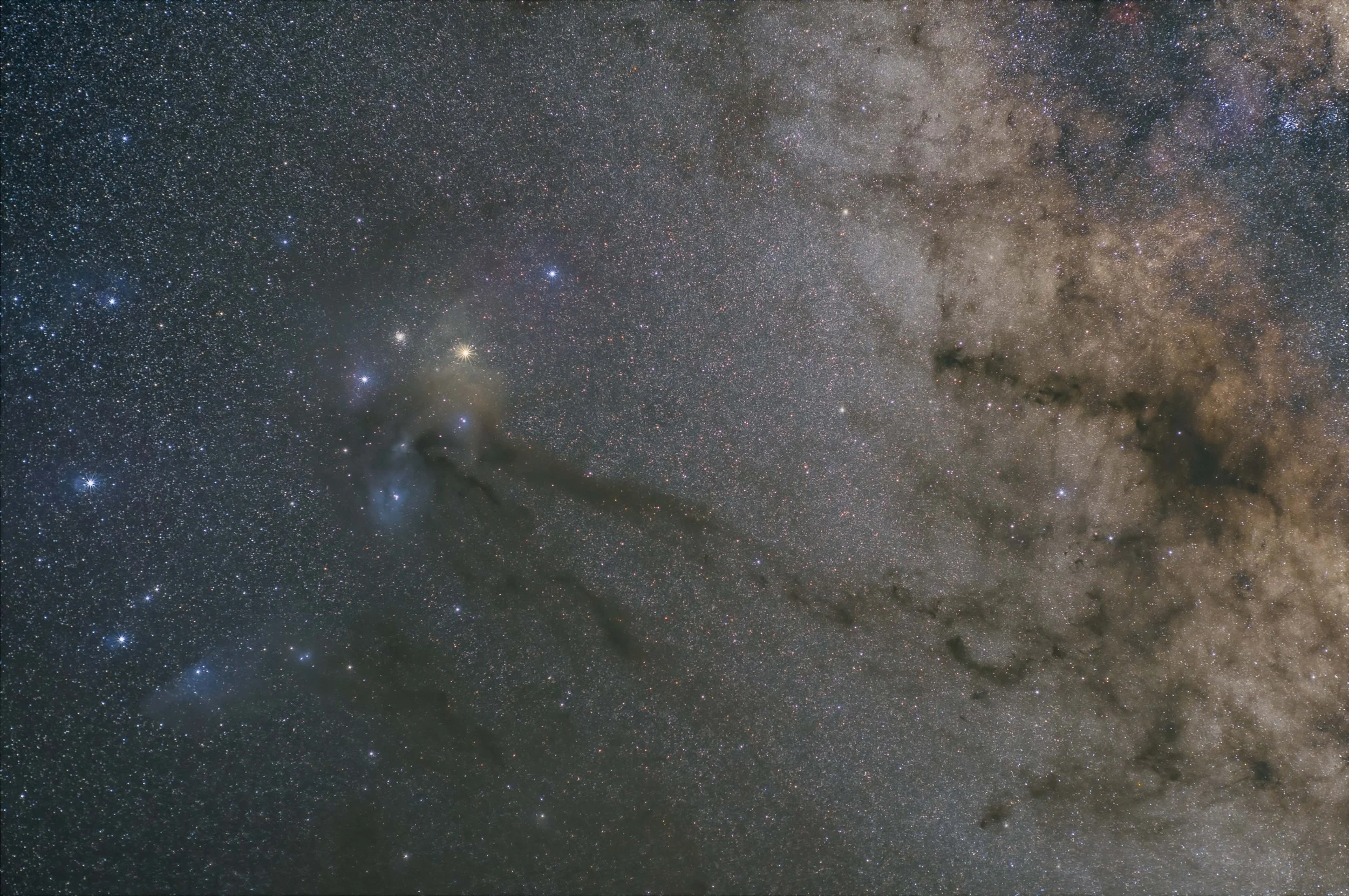 Akaroa Stargazing | Your starry night starts with us!