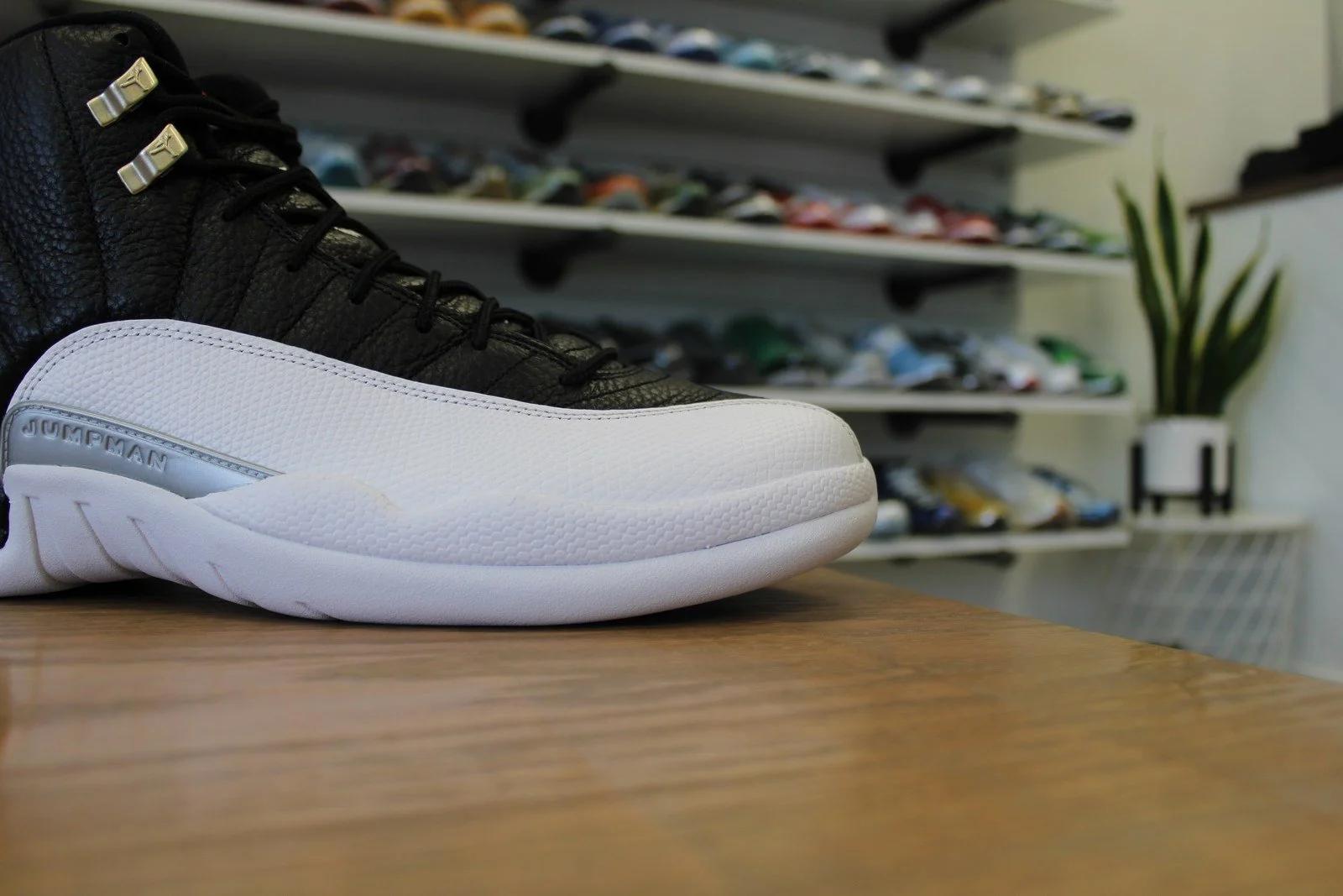 Jordan 12 Playoffs