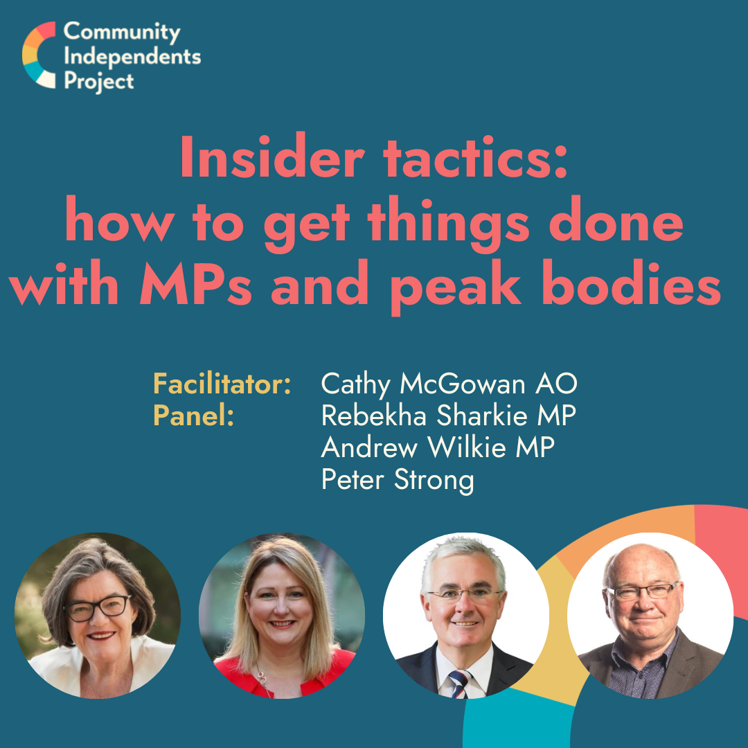 Working with Community Independent MPs — Community Independents Project