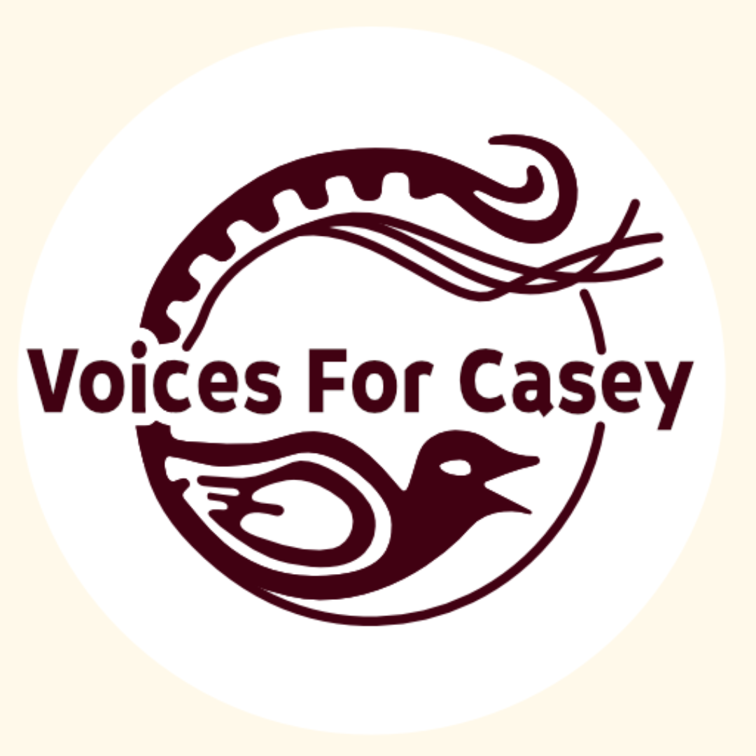 Community Group Register — Community Independents Project